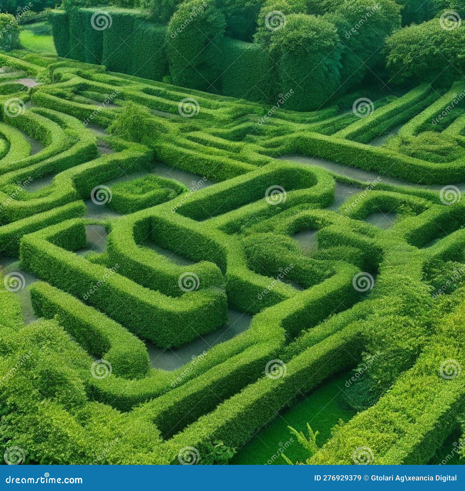 Green Labyrinth. Plant Maze. Garden. Aerial View of Green Labyrinth ...