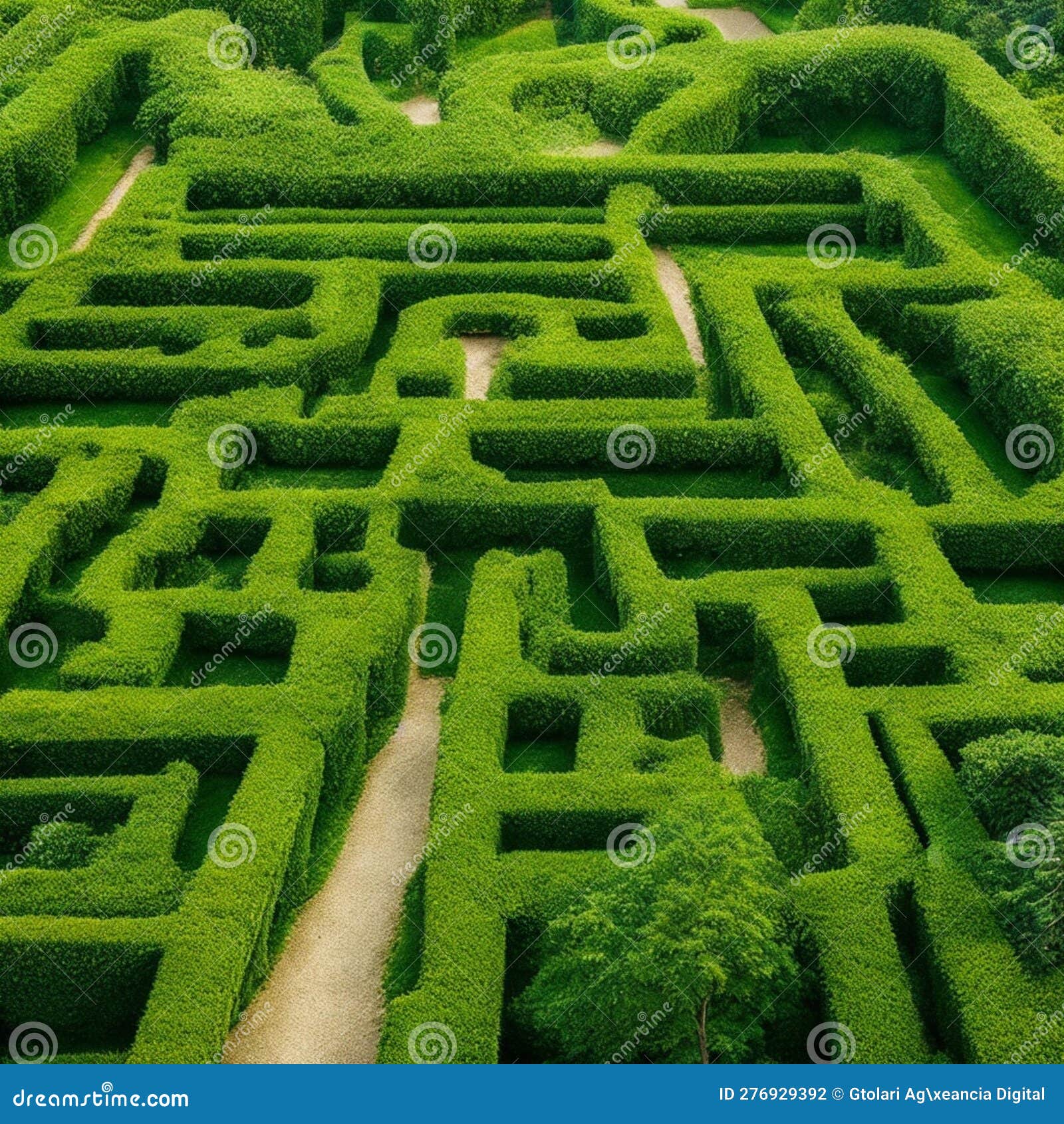 Green Labyrinth. Plant Maze. Garden. Aerial View of Green Labyrinth ...