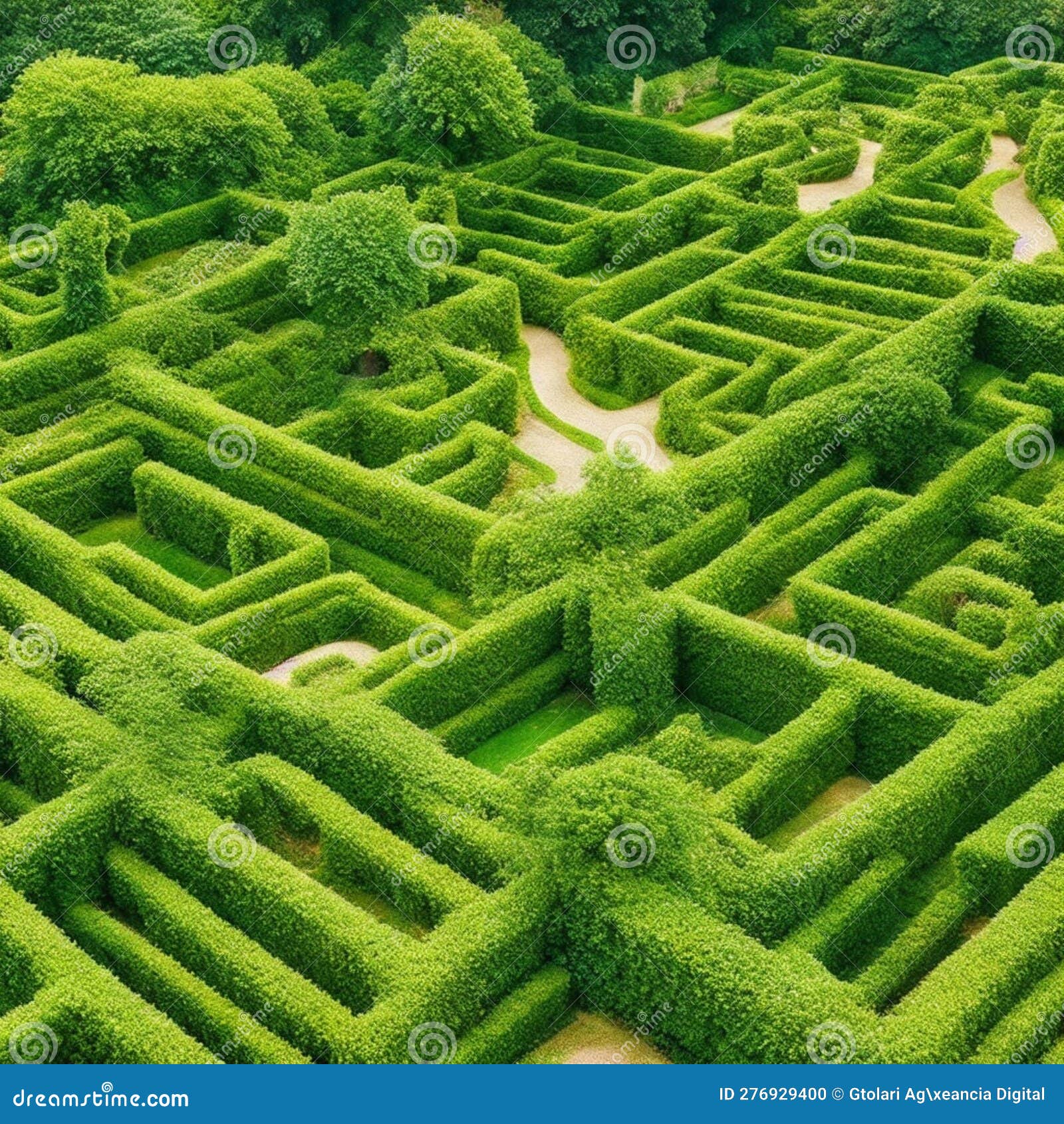 Green Labyrinth. Plant Maze. Garden. Aerial View of Green Labyrinth ...