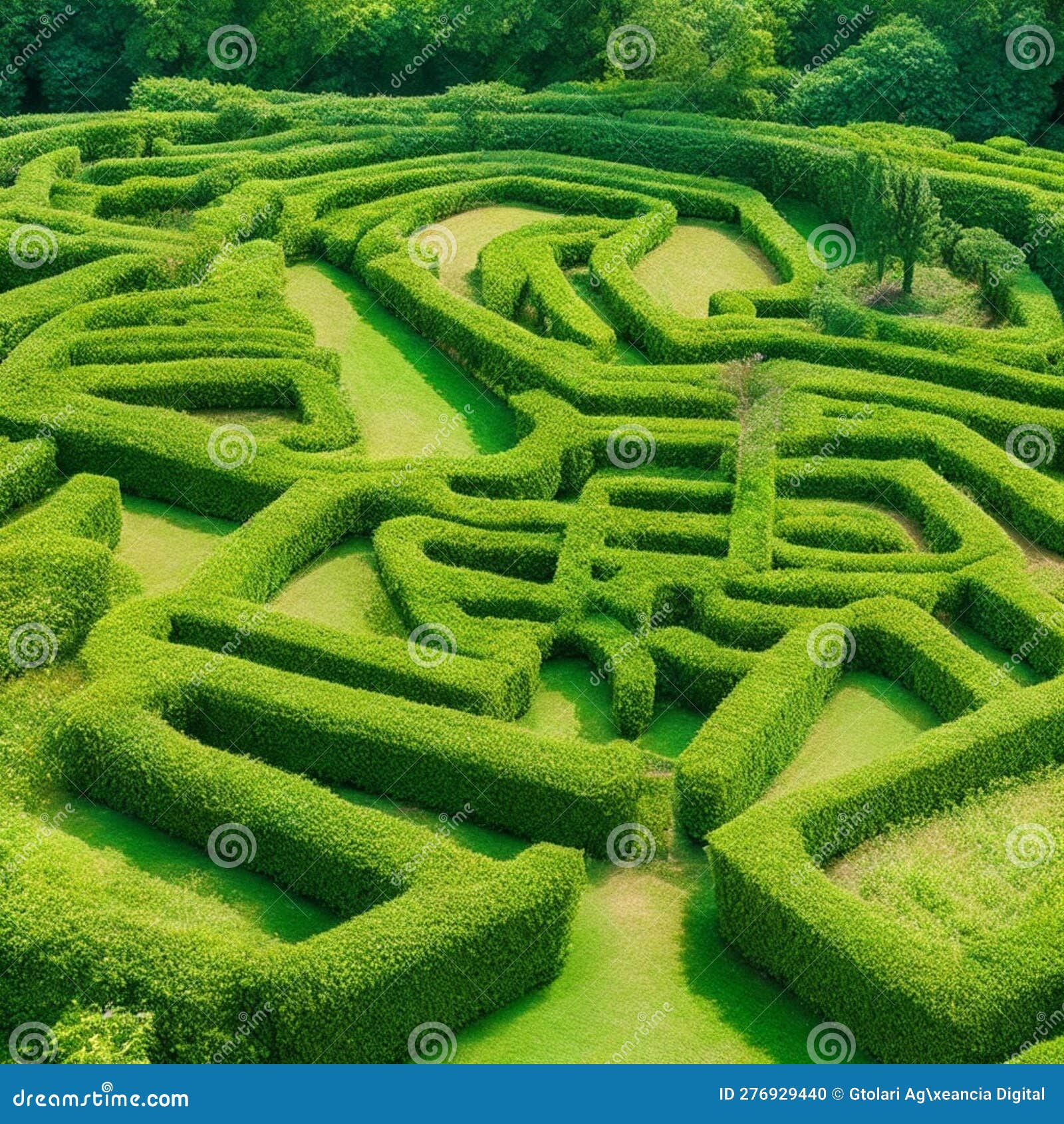 Green Labyrinth. Plant Maze. Garden. Aerial View of Green Labyrinth ...