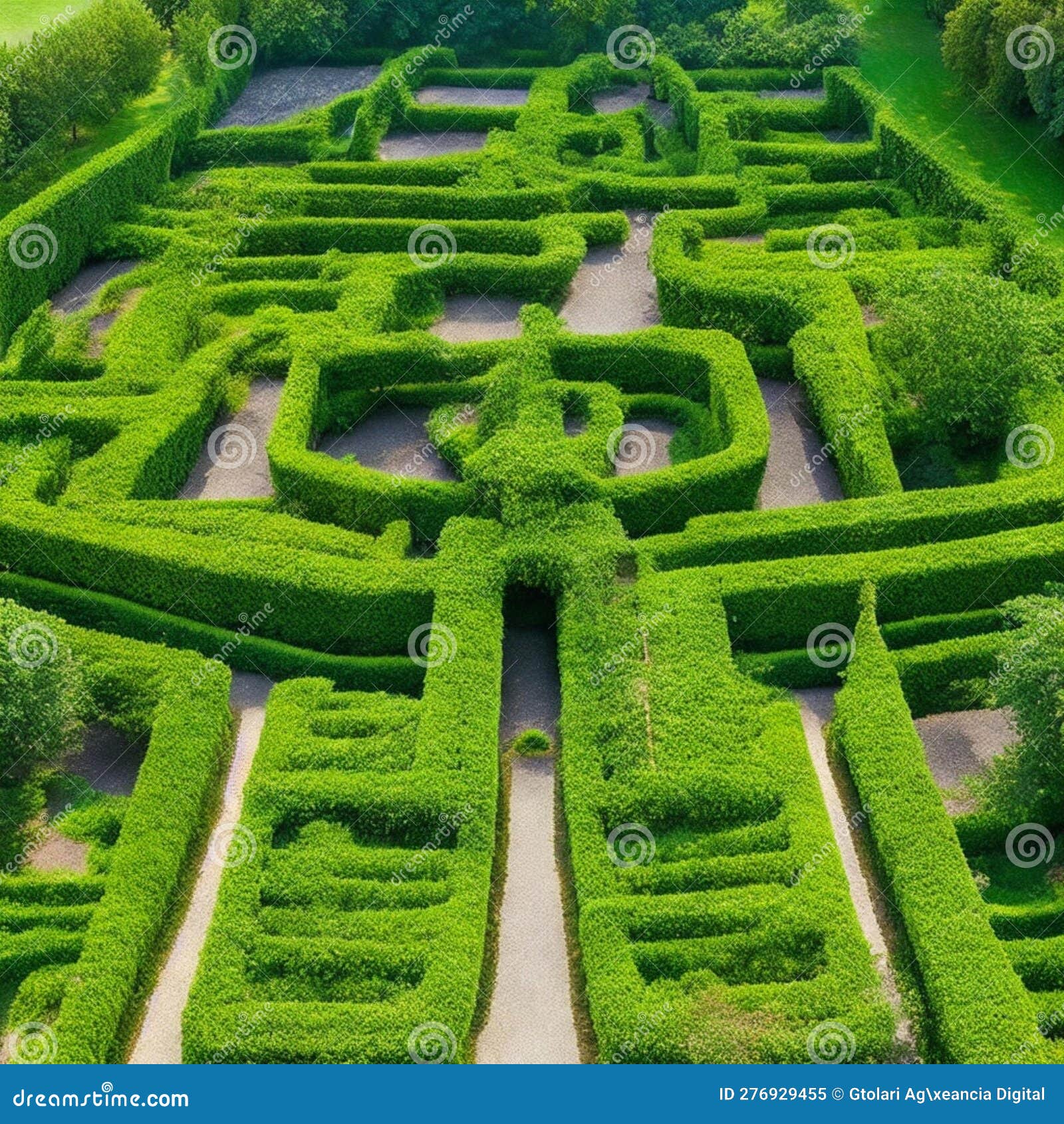 Green Labyrinth. Plant Maze. Garden. Aerial View of Green Labyrinth ...