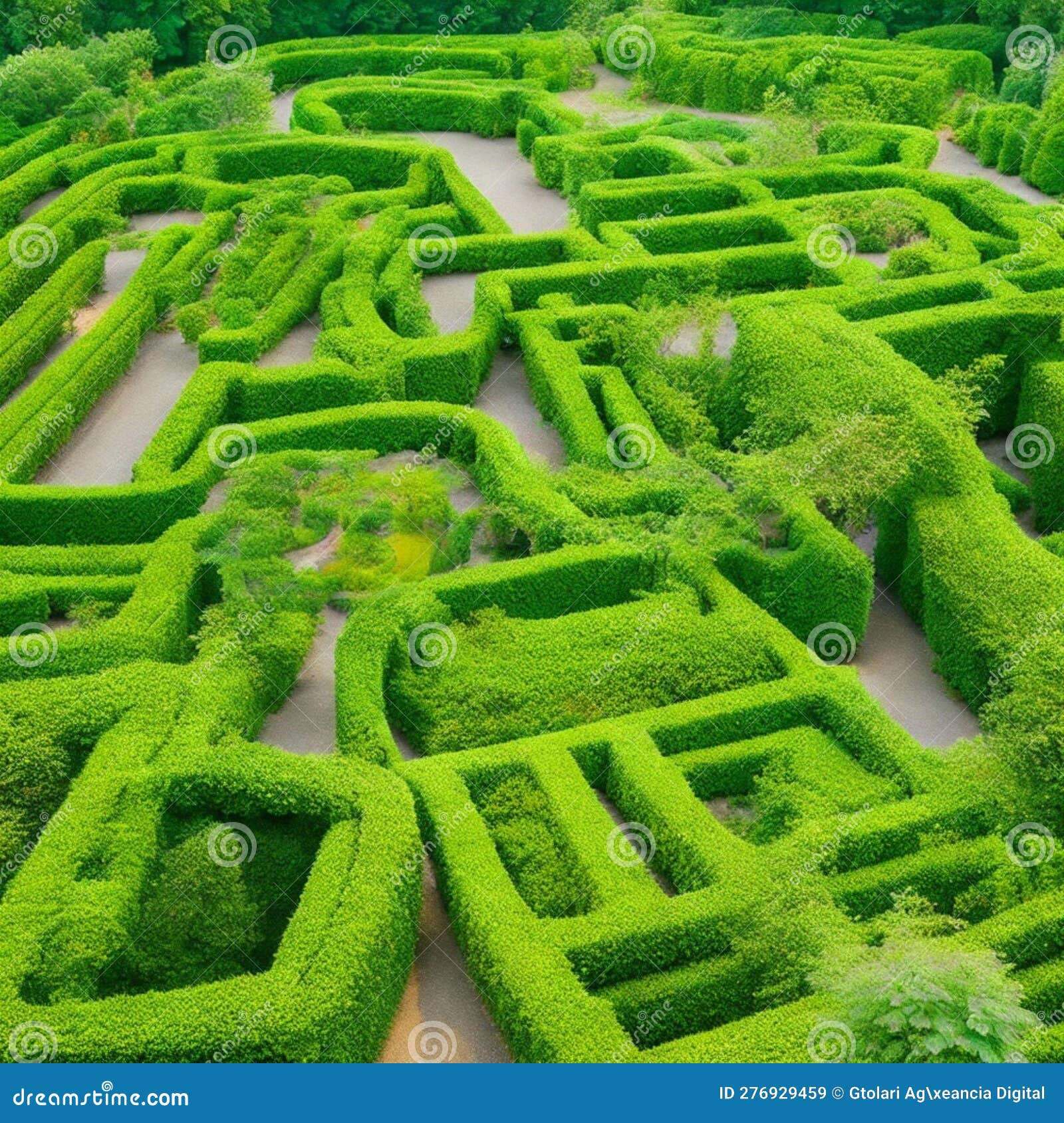 Green Labyrinth. Plant Maze. Garden. Aerial View of Green Labyrinth ...