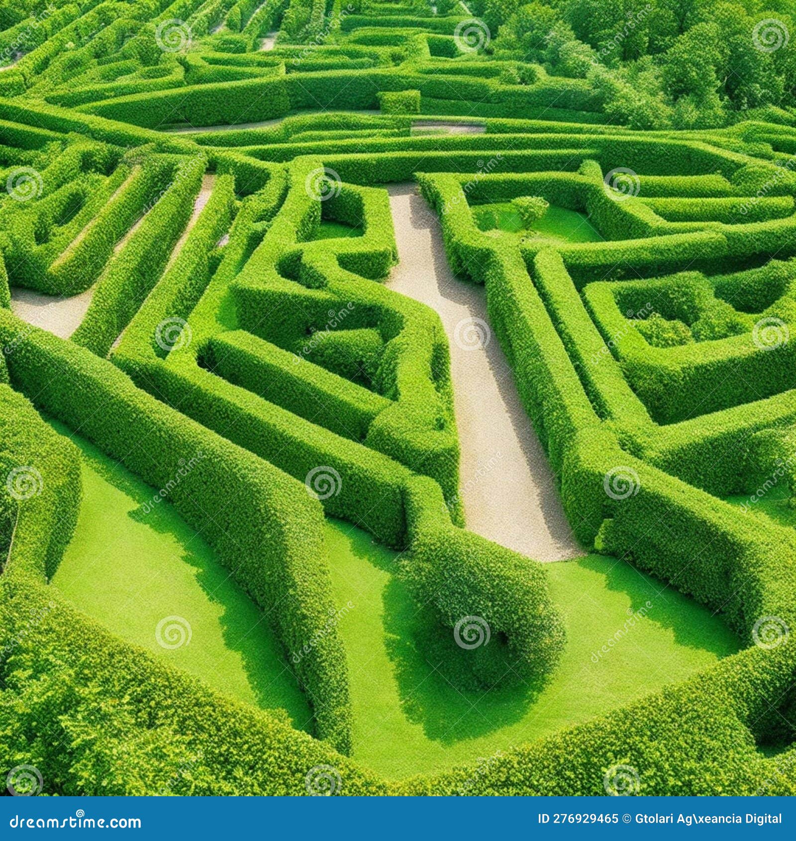 Green Labyrinth. Plant Maze. Garden. Aerial View of Green Labyrinth ...