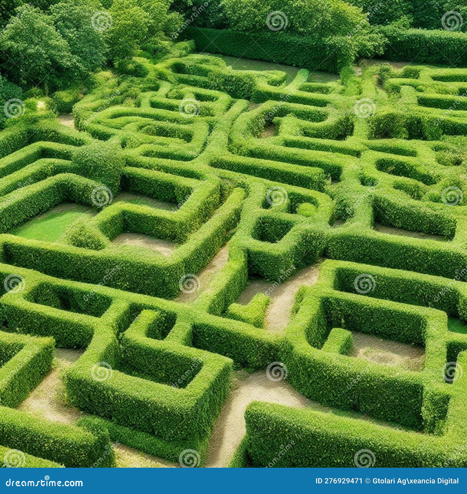 Green Labyrinth. Plant Maze. Garden. Aerial View of Green Labyrinth ...
