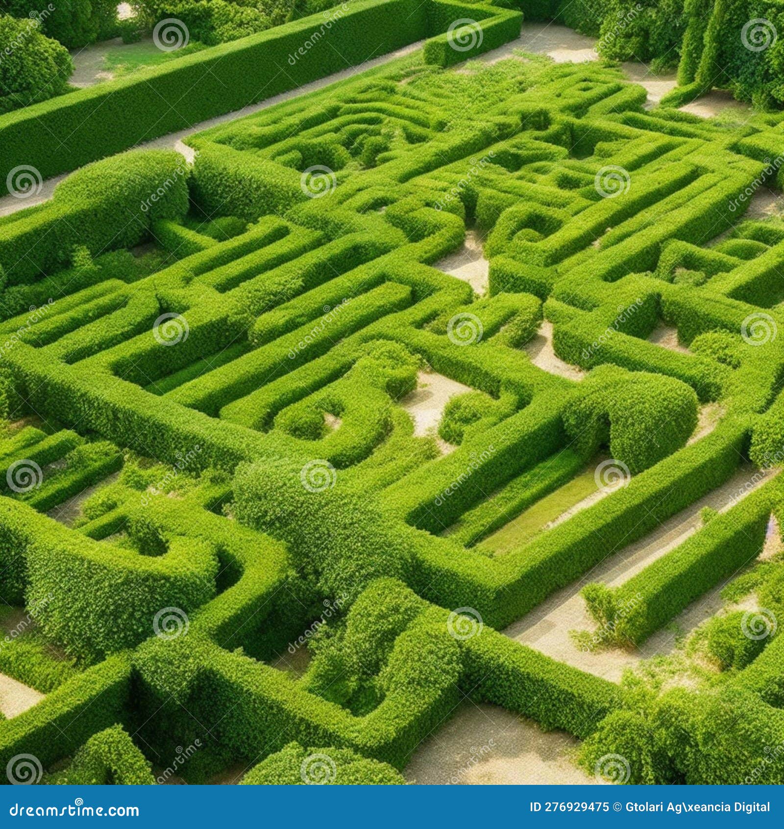 Green Labyrinth. Plant Maze. Garden. Aerial View of Green Labyrinth ...