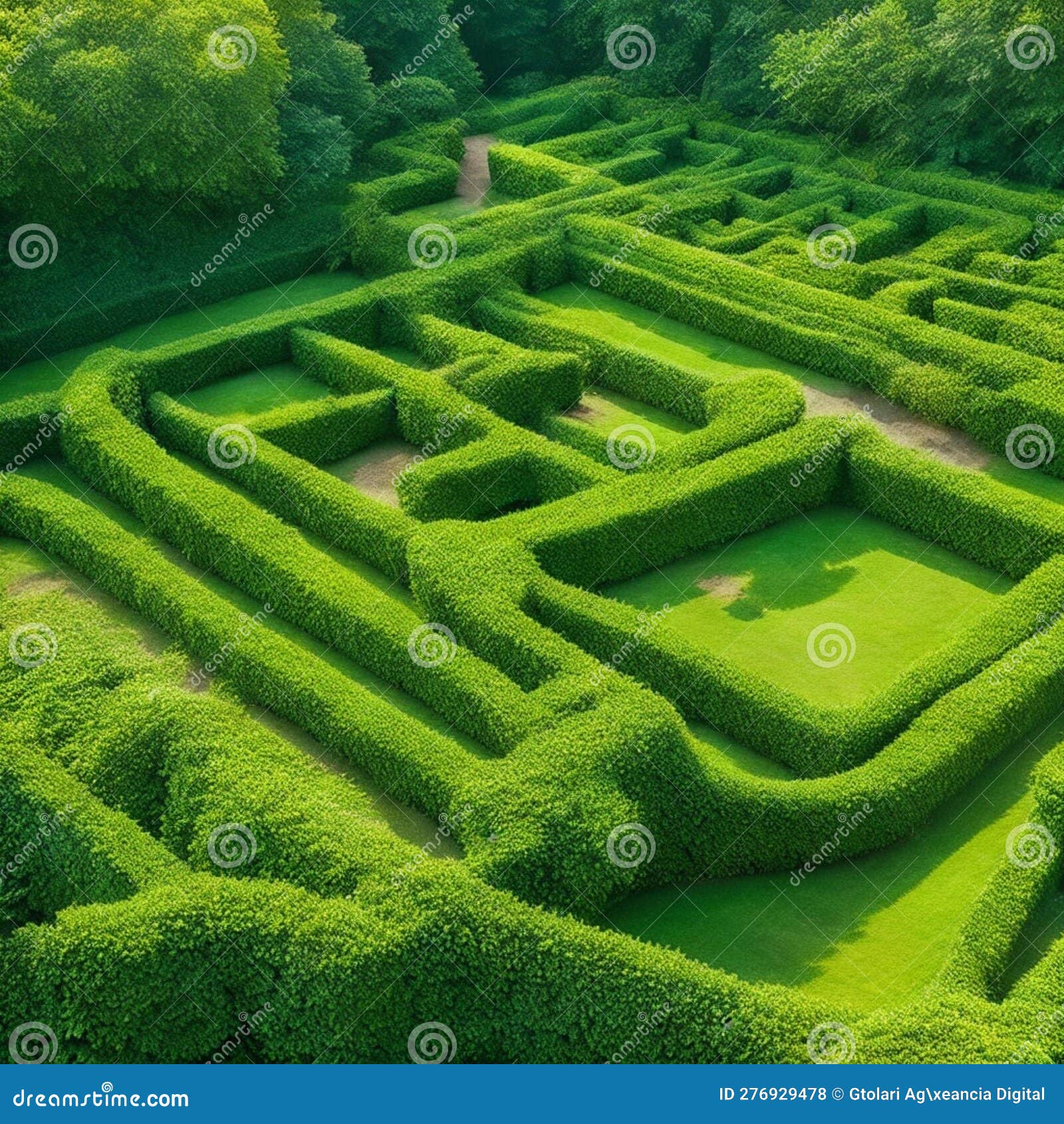 Green Labyrinth. Plant Maze. Garden. Aerial View of Green Labyrinth ...