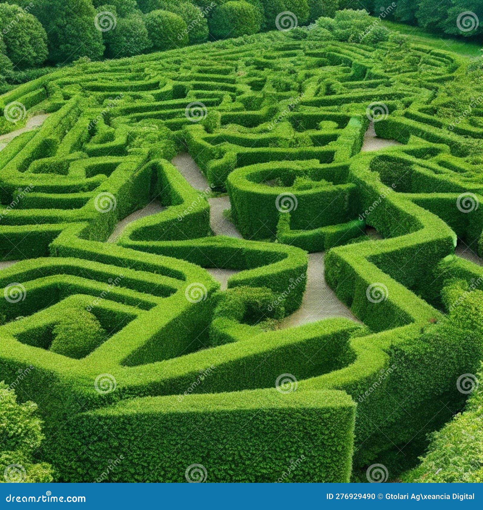 Green Labyrinth. Plant Maze. Garden. Aerial View of Green Labyrinth ...