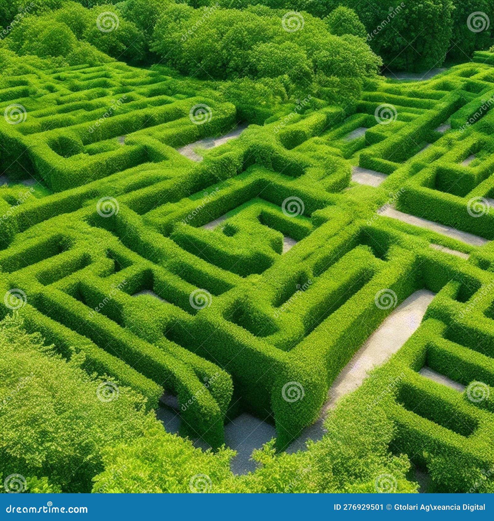 Green Labyrinth. Plant Maze. Garden. Aerial View of Green Labyrinth ...