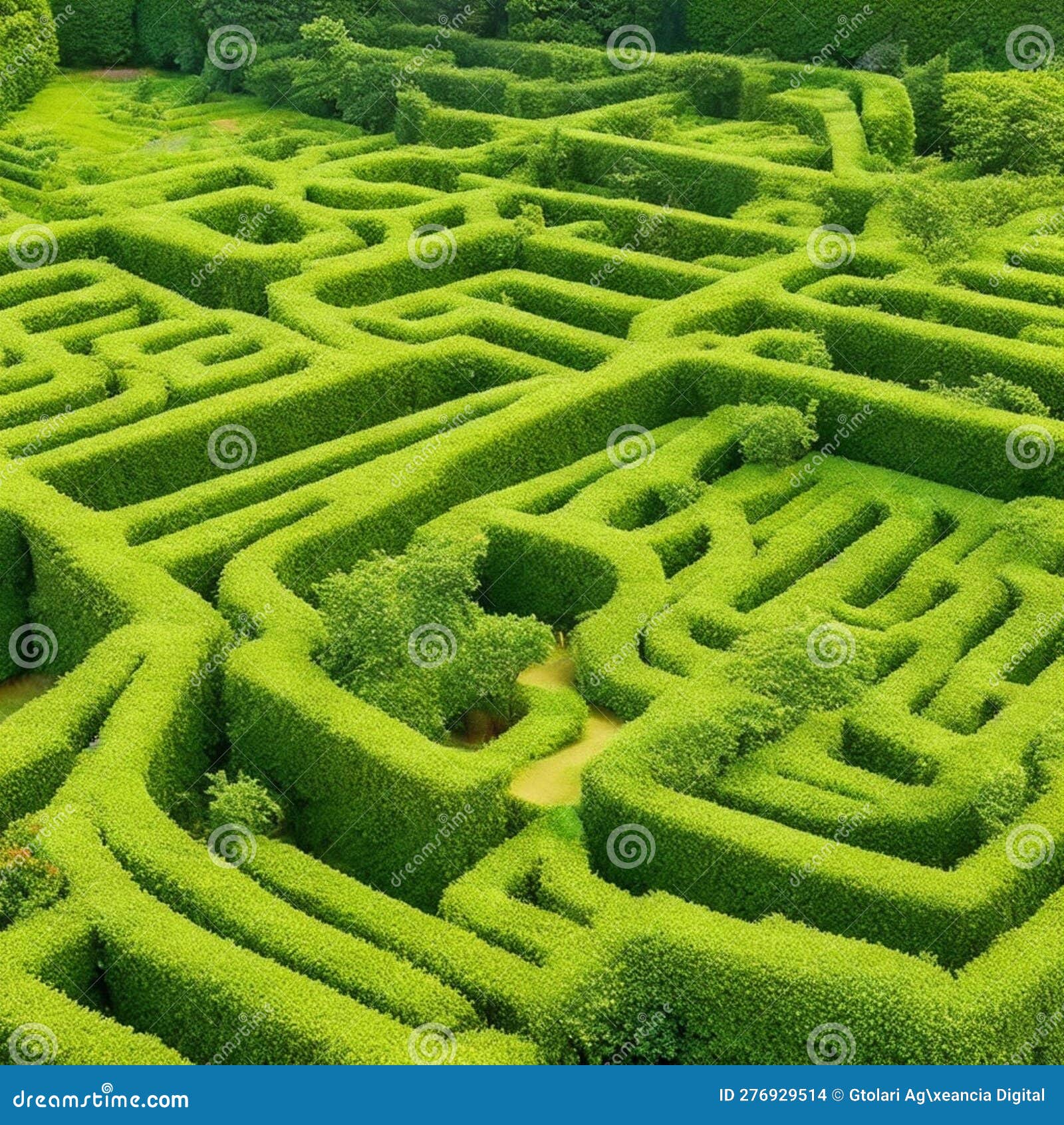 Green Labyrinth. Plant Maze. Garden. Aerial View of Green Labyrinth ...