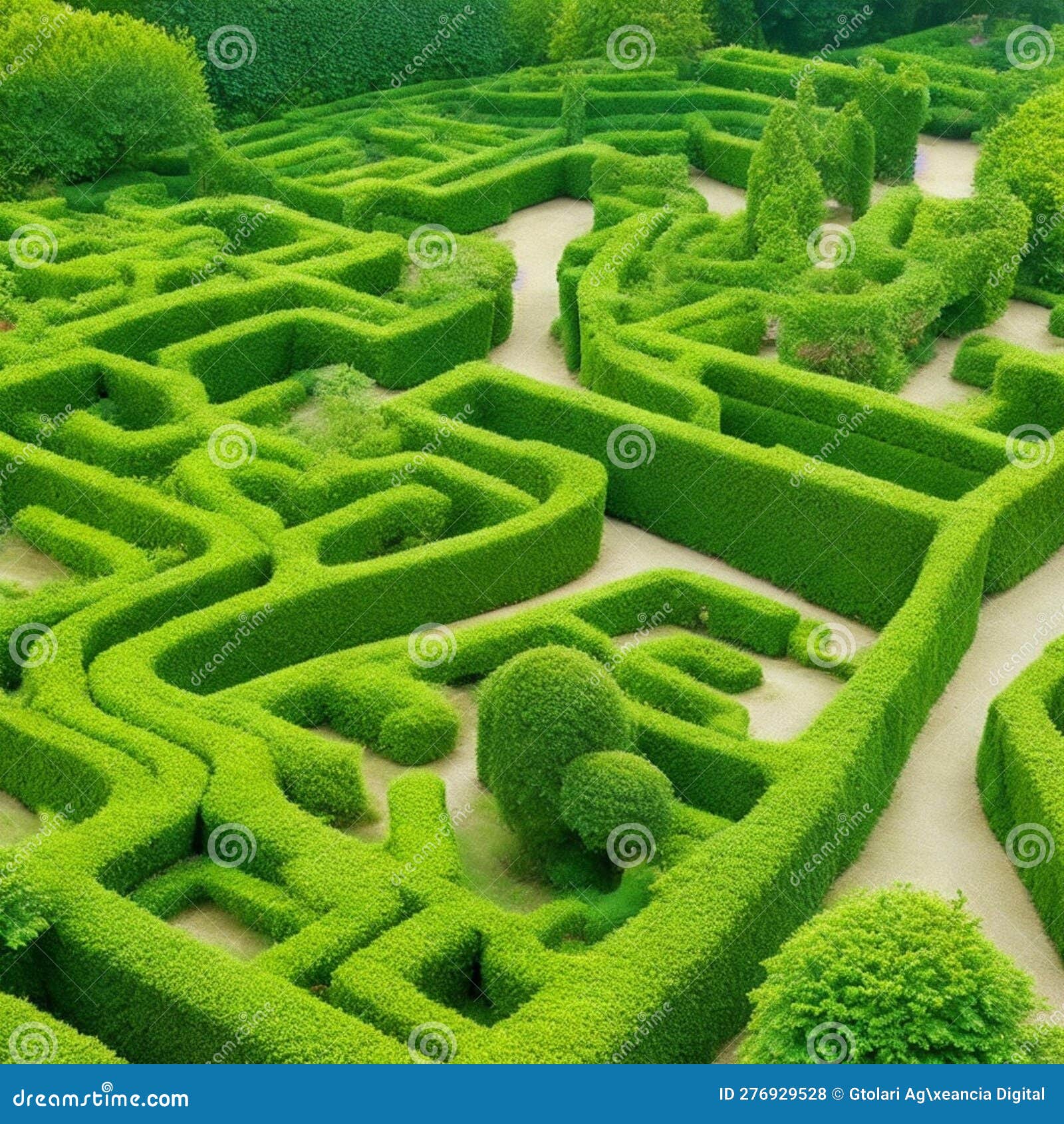Green Labyrinth. Plant Maze. Garden. Aerial View of Green Labyrinth ...
