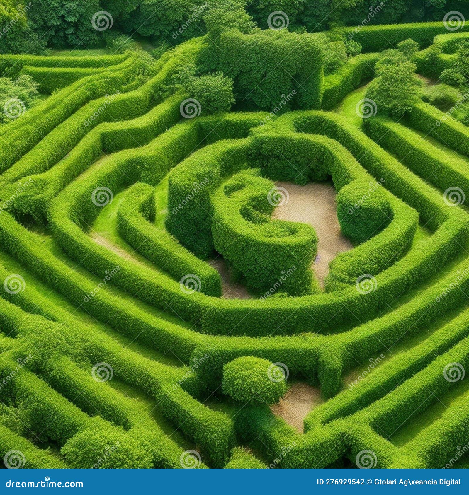Green Labyrinth. Plant Maze. Garden. Aerial View of Green Labyrinth ...
