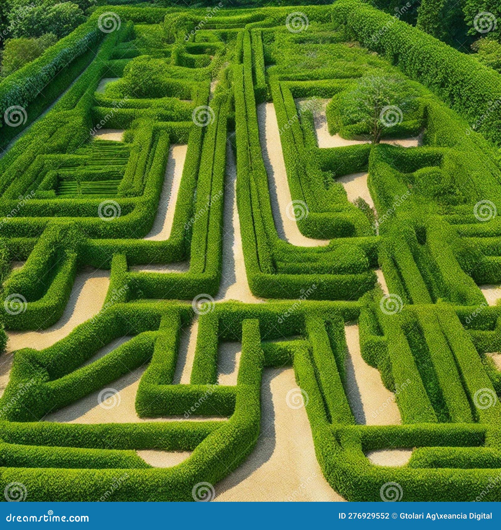 Green Labyrinth. Plant Maze. Garden. Aerial View of Green Labyrinth ...