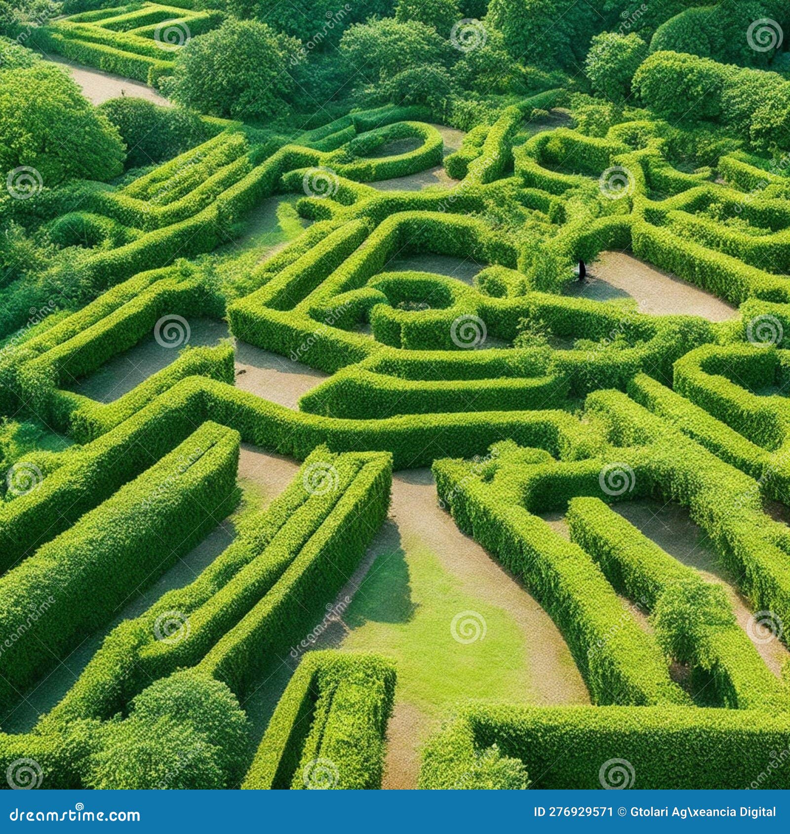 Green Labyrinth. Plant Maze. Garden. Aerial View of Green Labyrinth ...