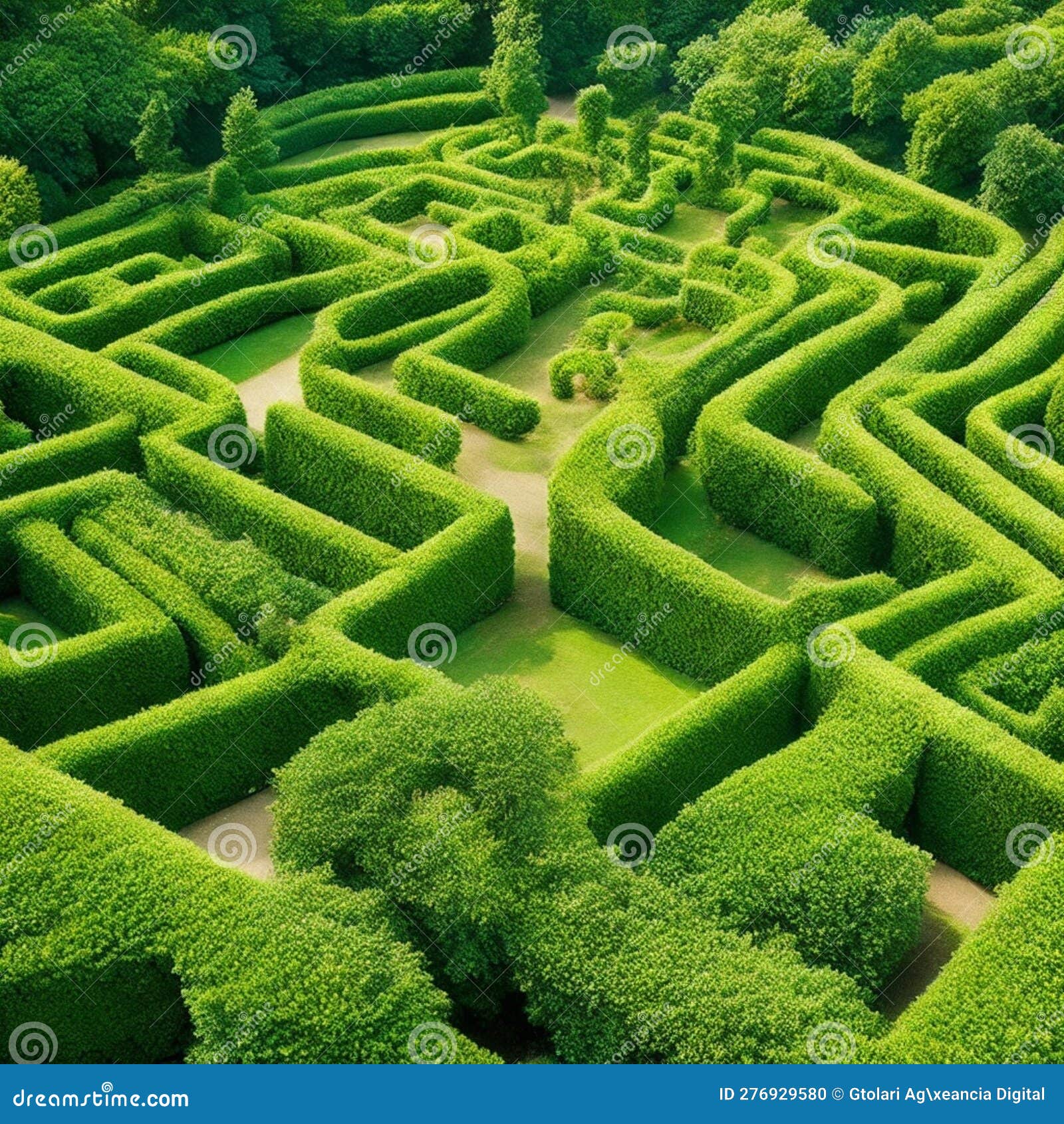Green Labyrinth. Plant Maze. Garden. Aerial View of Green Labyrinth ...