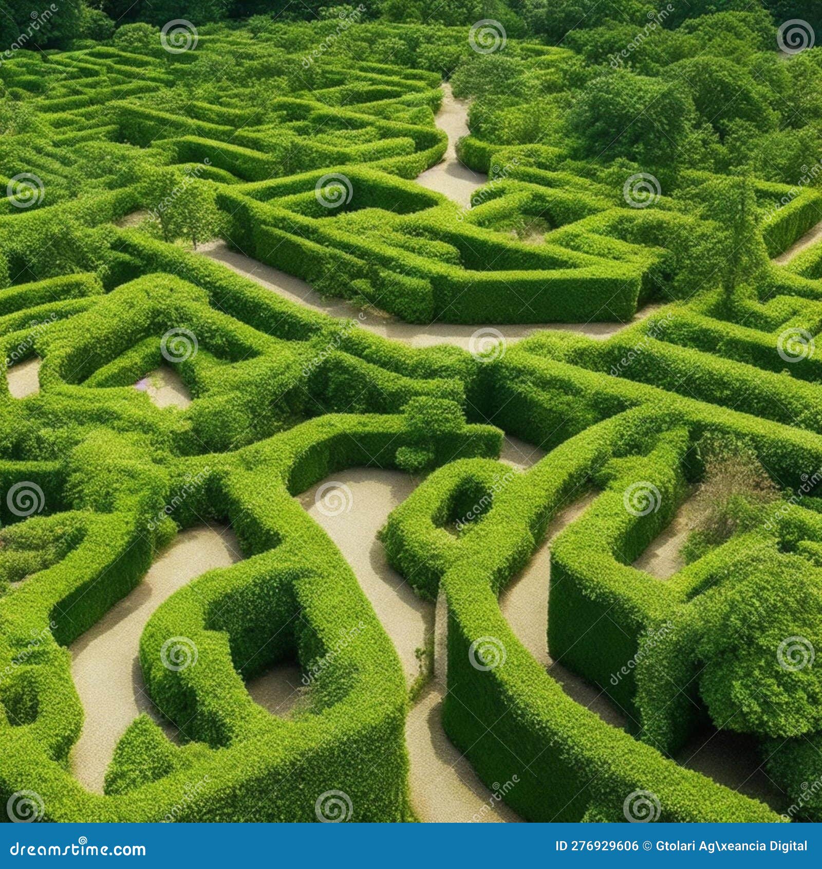 Green Labyrinth. Plant Maze. Garden. Aerial View of Green Labyrinth ...