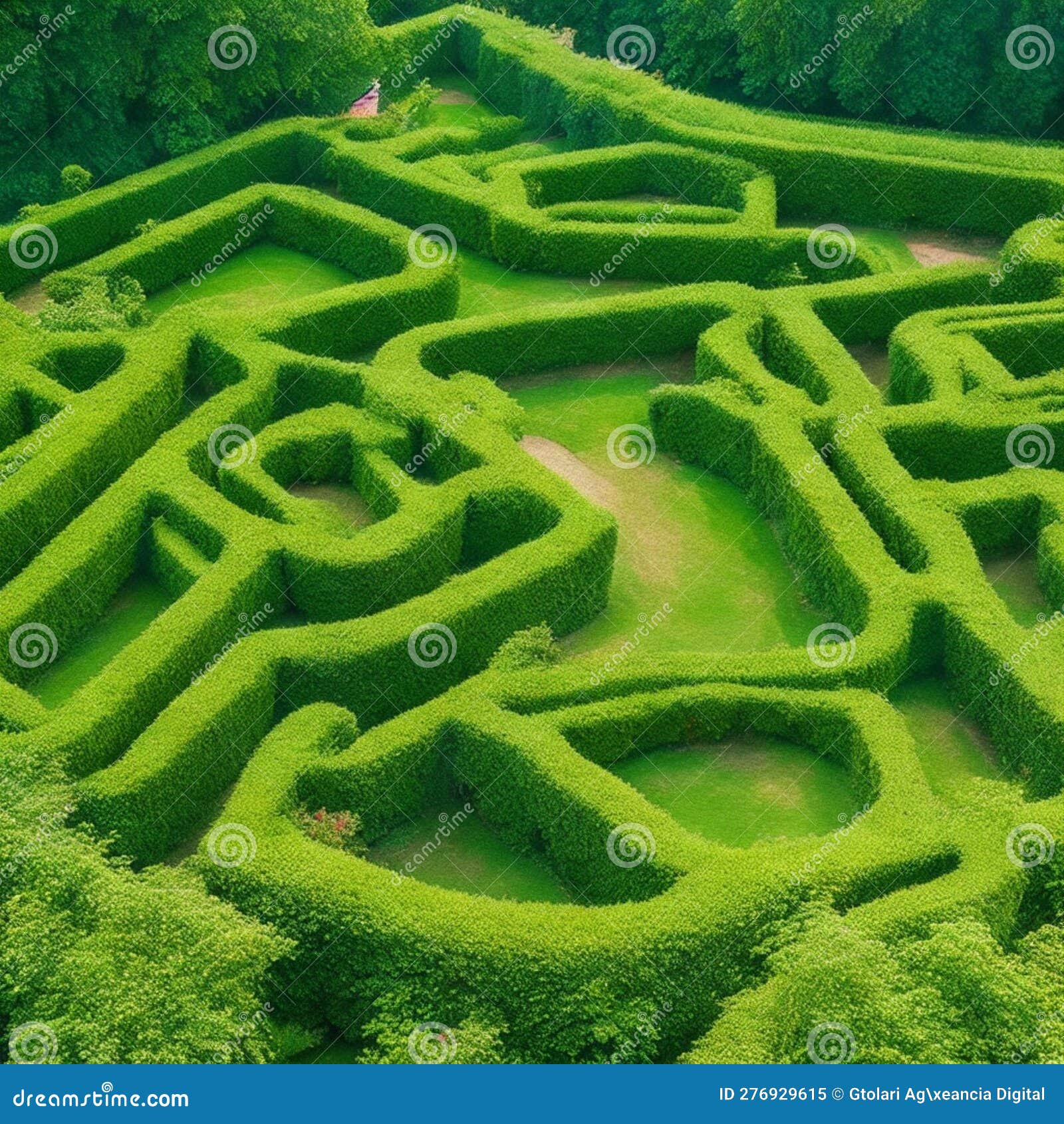Green Labyrinth. Plant Maze. Garden. Aerial View of Green Labyrinth ...