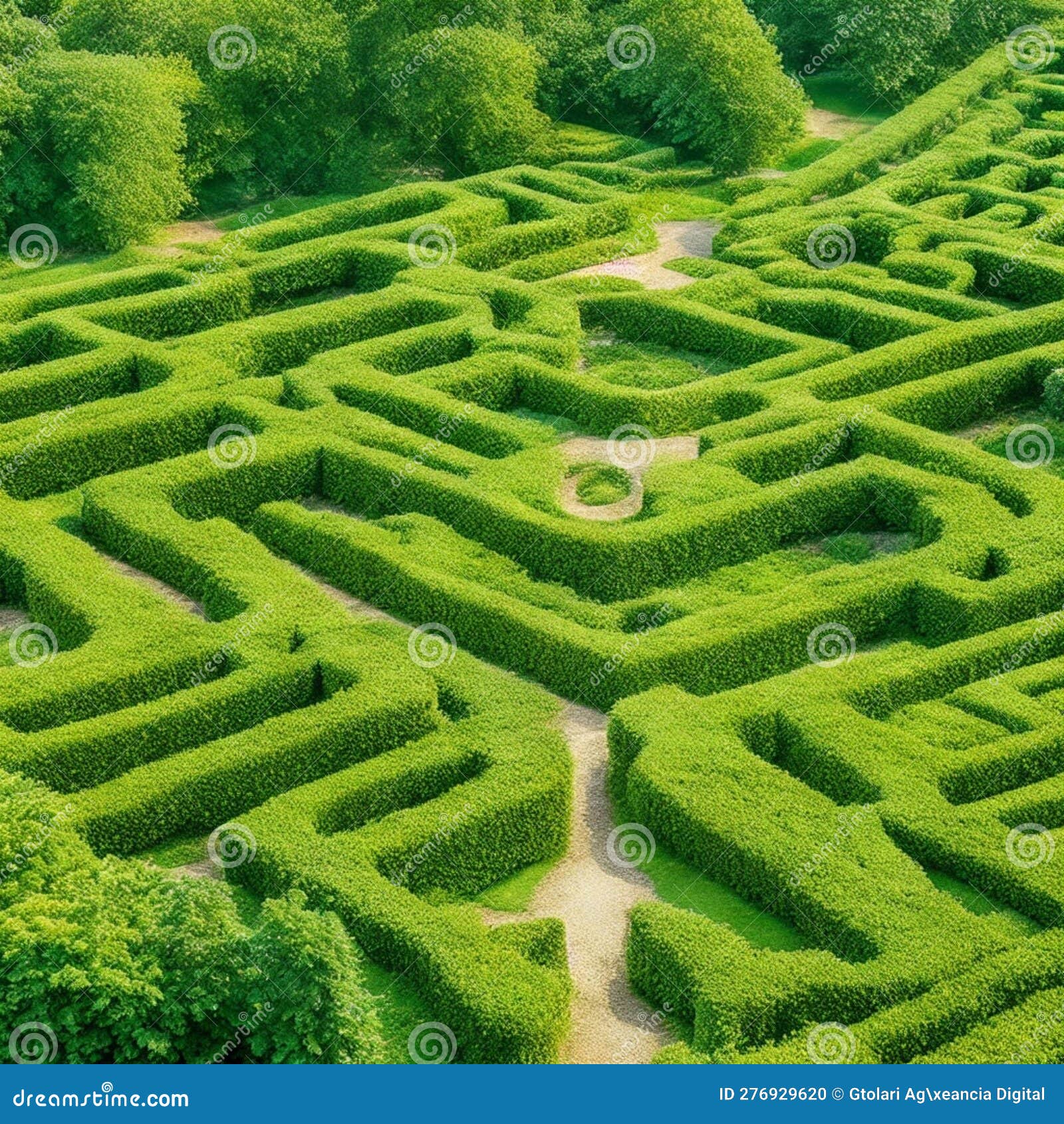 Green Labyrinth. Plant Maze. Garden. Aerial View of Green Labyrinth ...