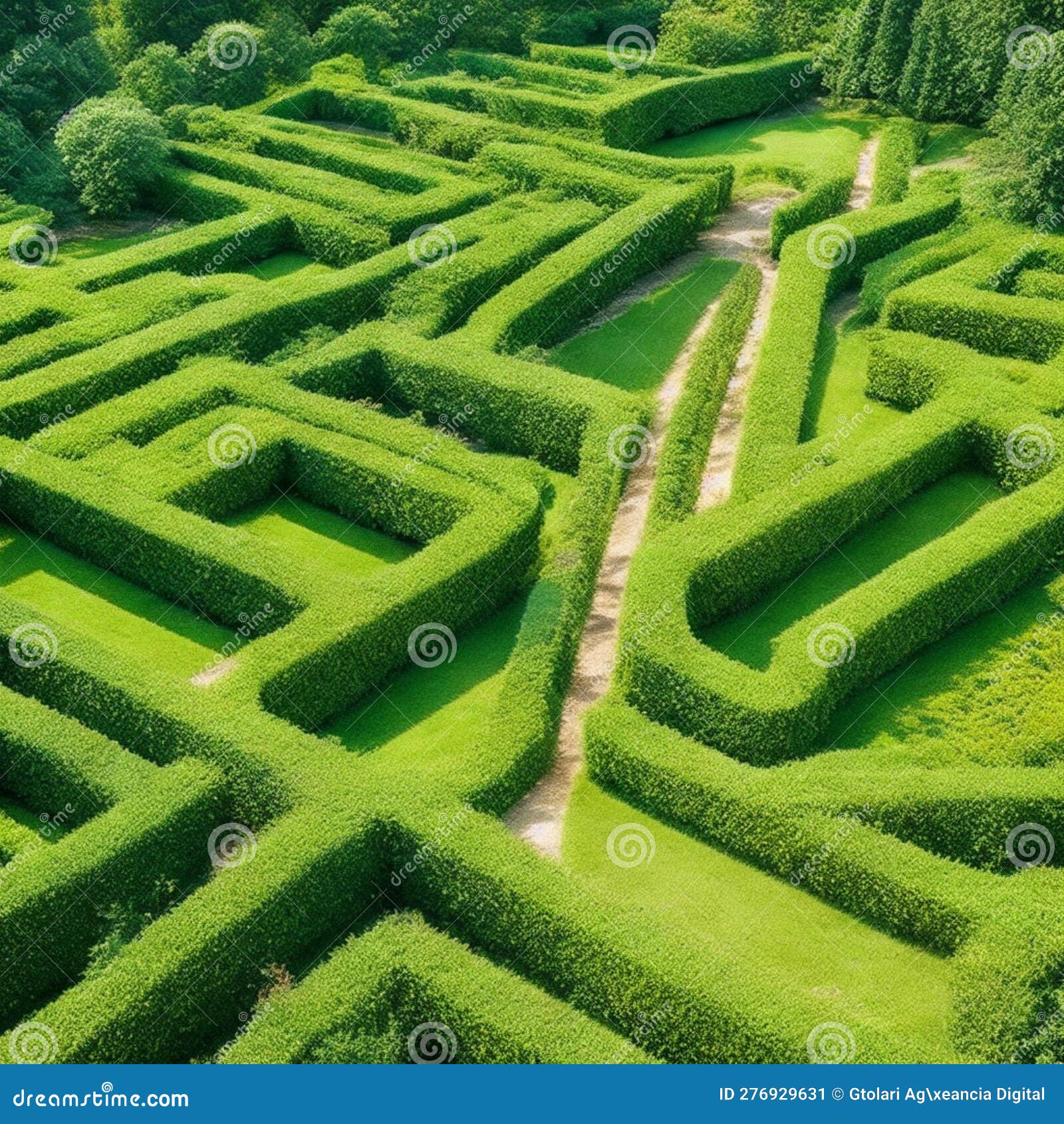 Green Labyrinth. Plant Maze. Garden. Aerial View of Green Labyrinth ...