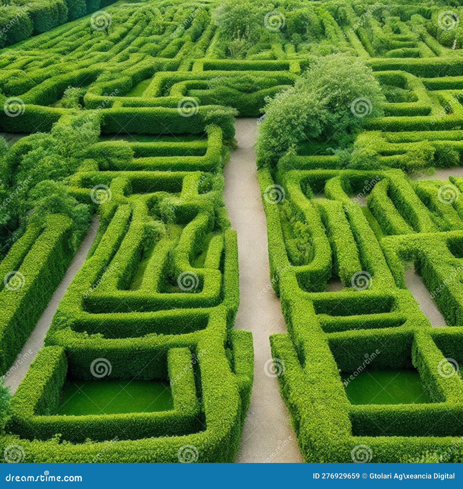 Green Labyrinth. Plant Maze. Garden. Aerial View of Green Labyrinth ...