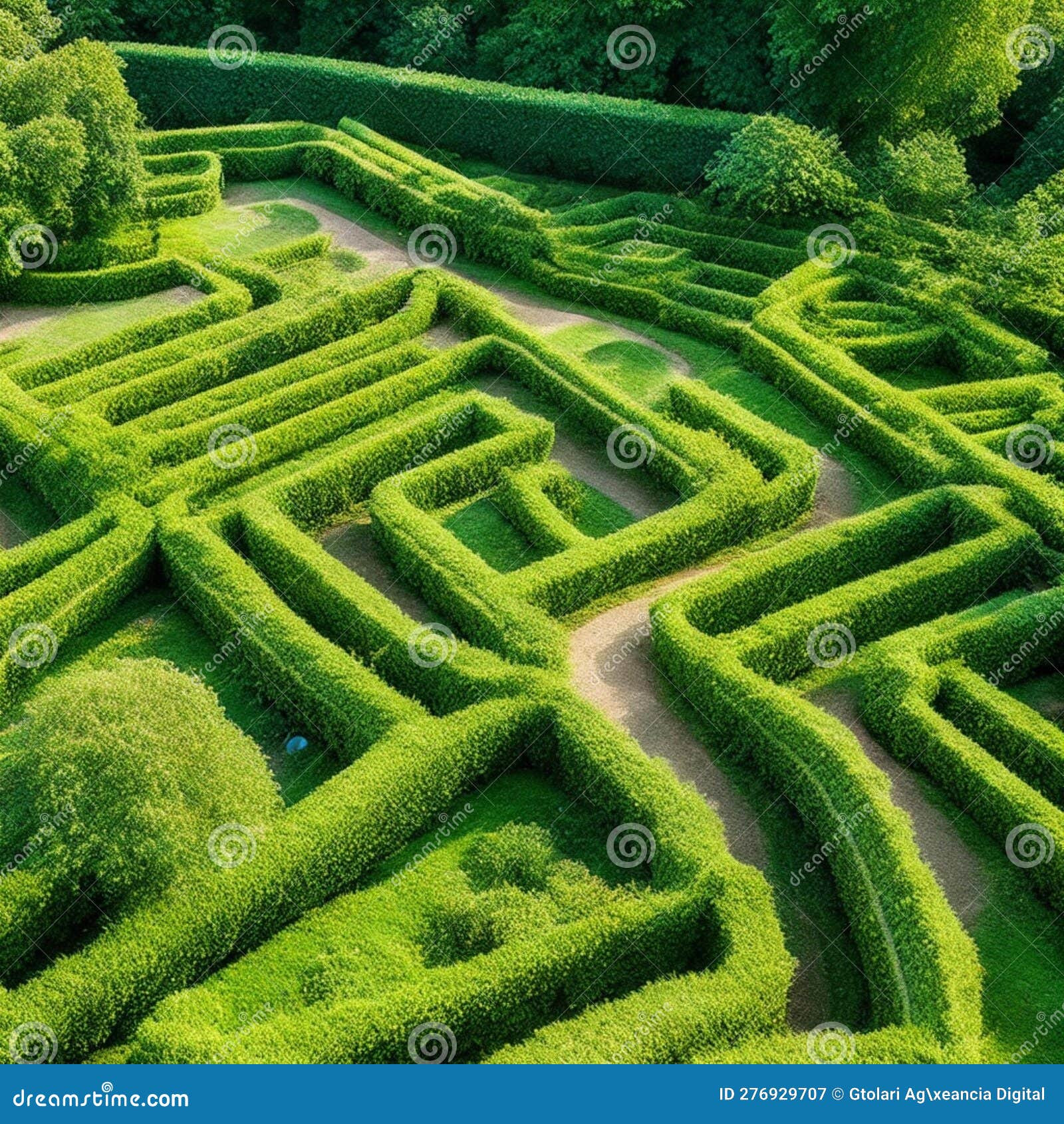 Green Labyrinth. Plant Maze. Garden. Aerial View of Green Labyrinth ...