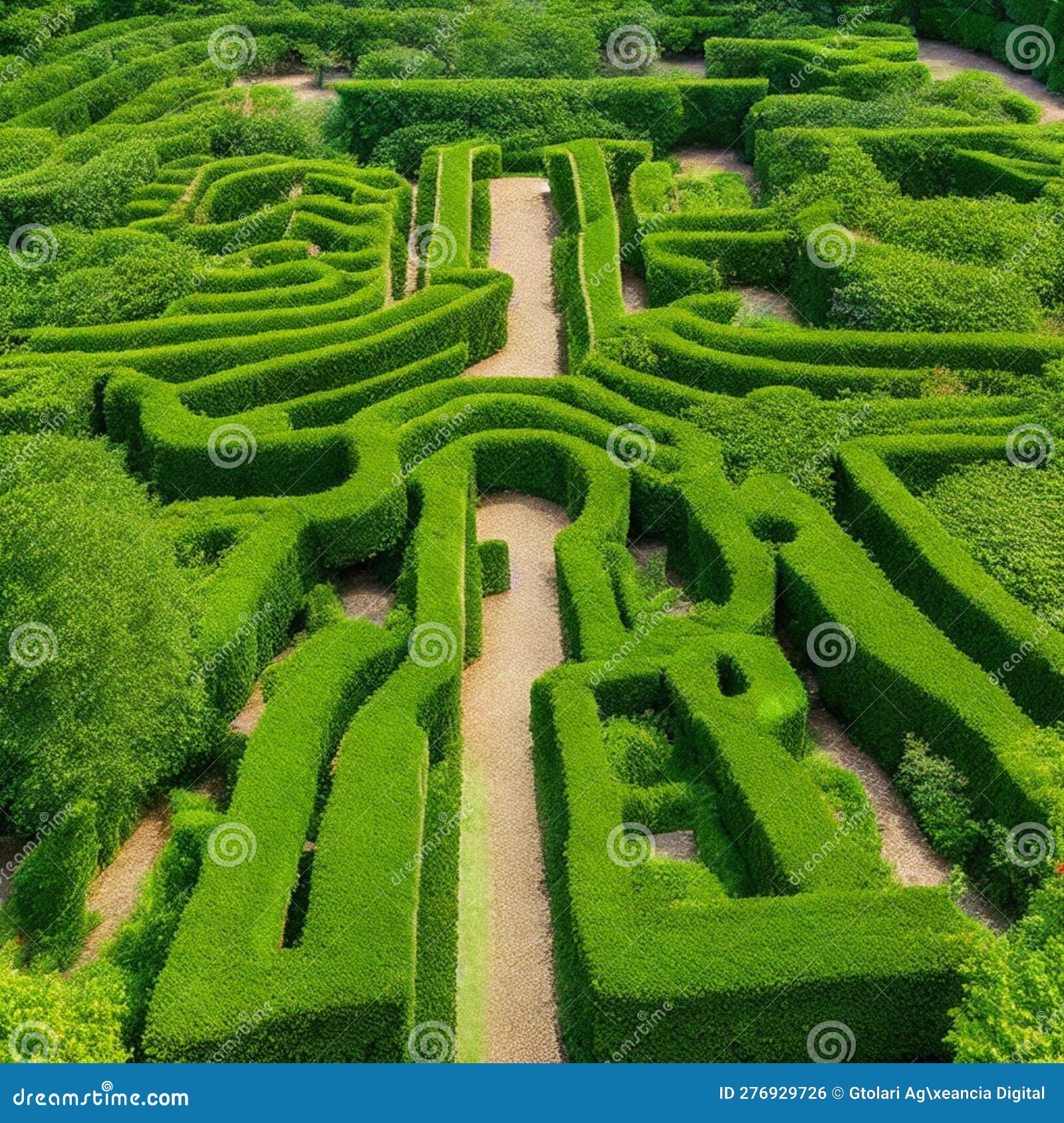 Green Labyrinth. Plant Maze. Garden. Aerial View of Green Labyrinth ...