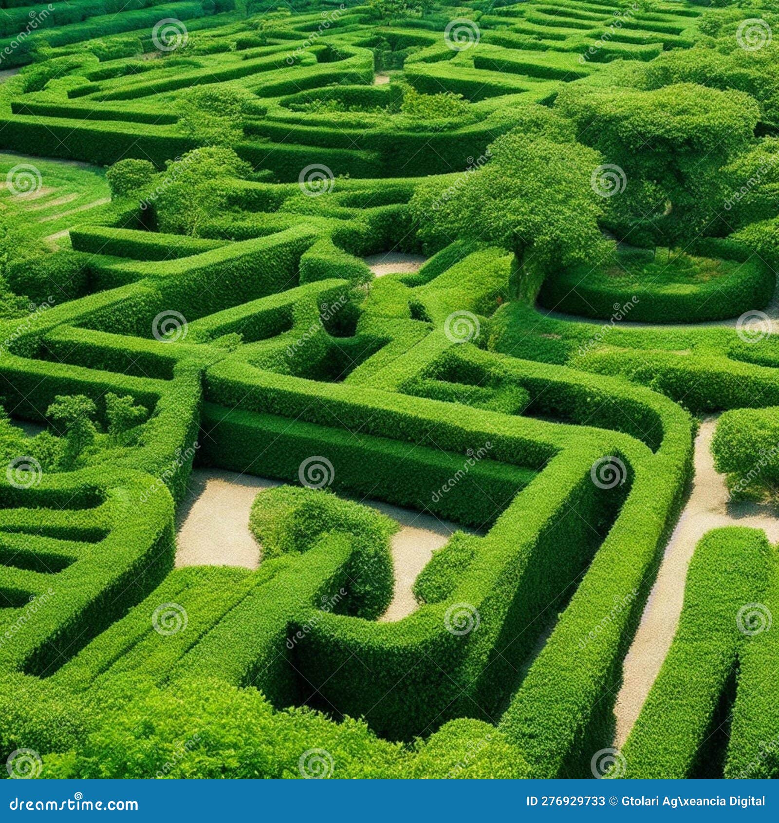 Green Labyrinth. Plant Maze. Garden. Aerial View of Green Labyrinth ...