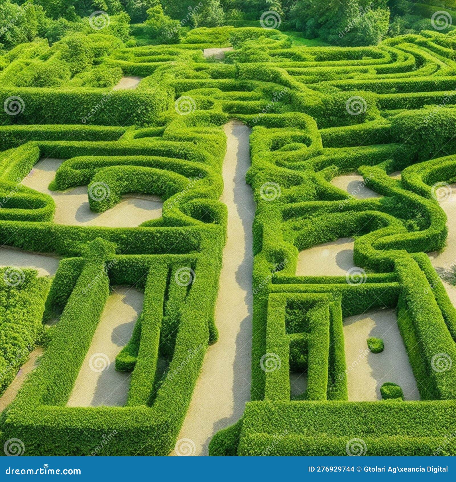 Green Labyrinth. Plant Maze. Garden. Aerial View of Green Labyrinth ...