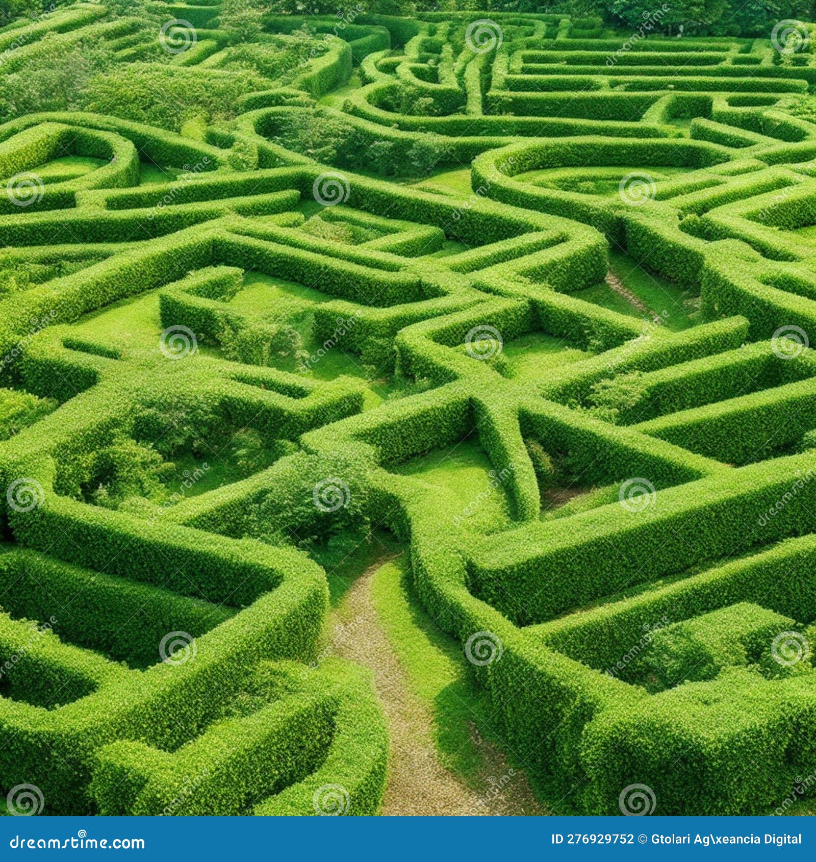 Green Labyrinth. Plant Maze. Garden. Aerial View of Green Labyrinth ...