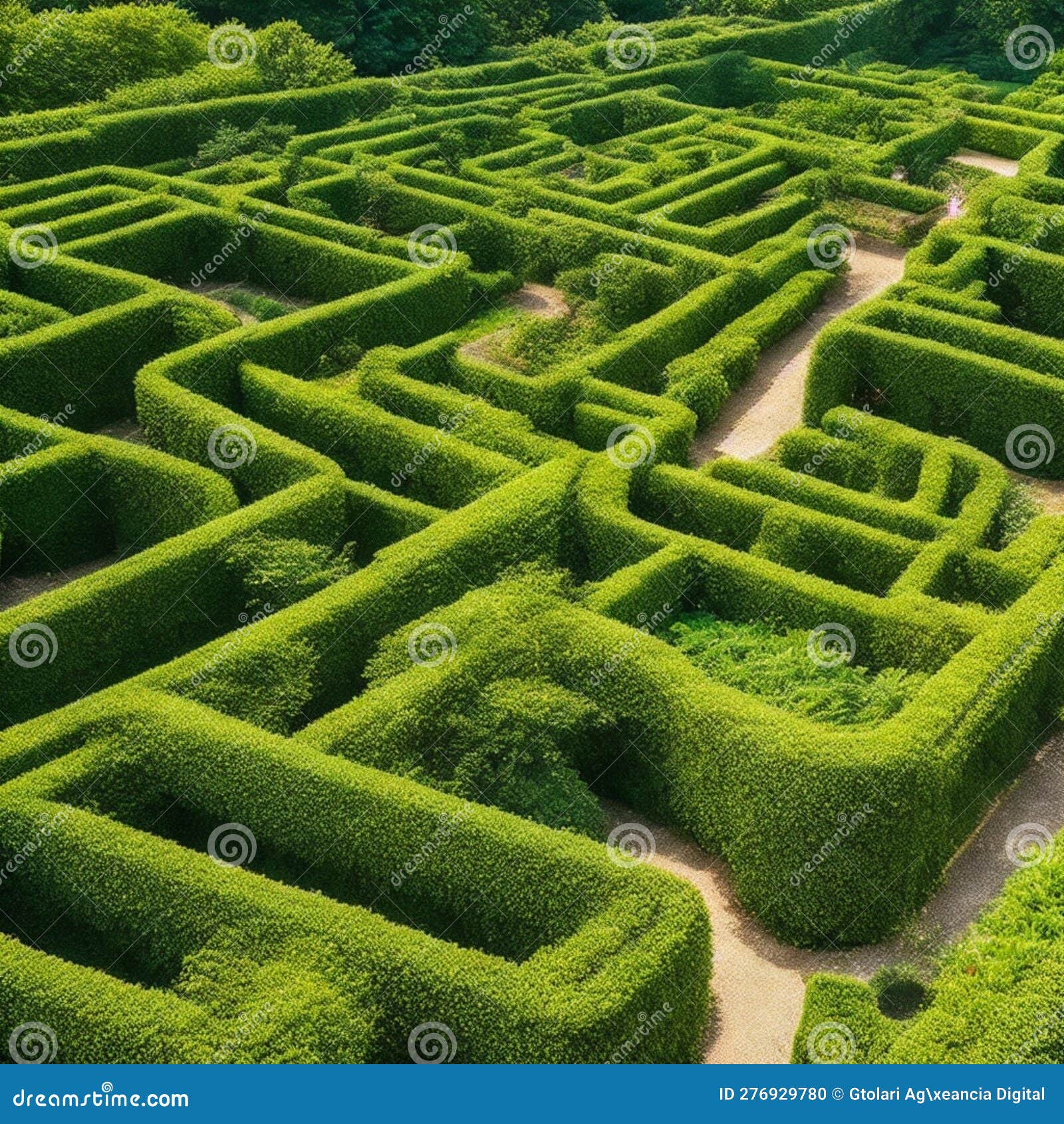 Green Labyrinth. Plant Maze. Garden. Aerial View of Green Labyrinth ...