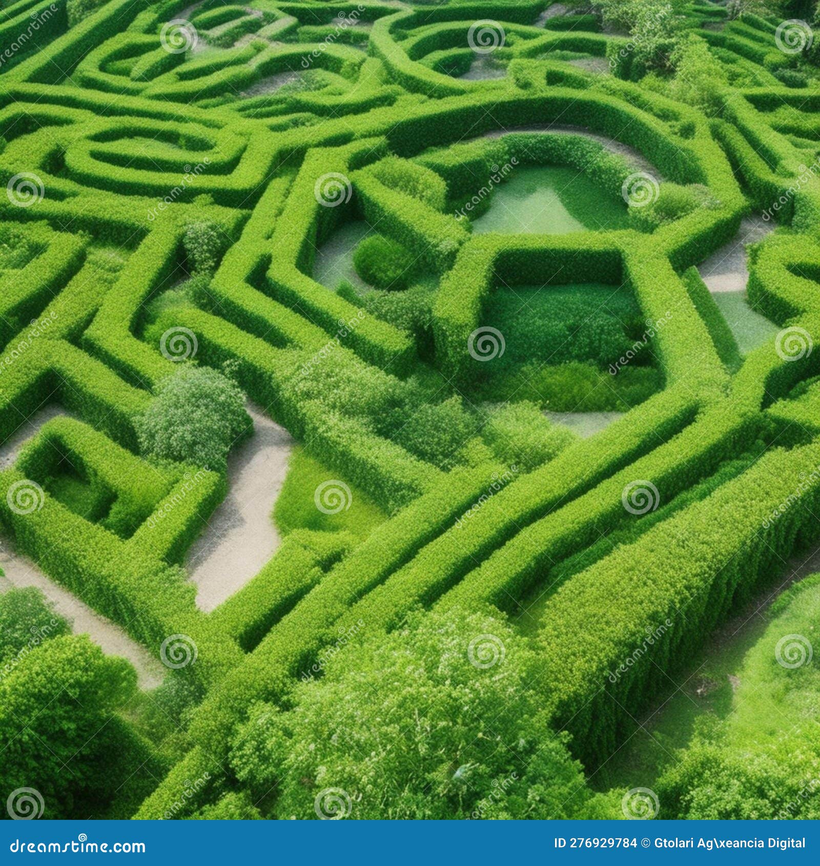 Green Labyrinth. Plant Maze. Garden. Aerial View of Green Labyrinth ...