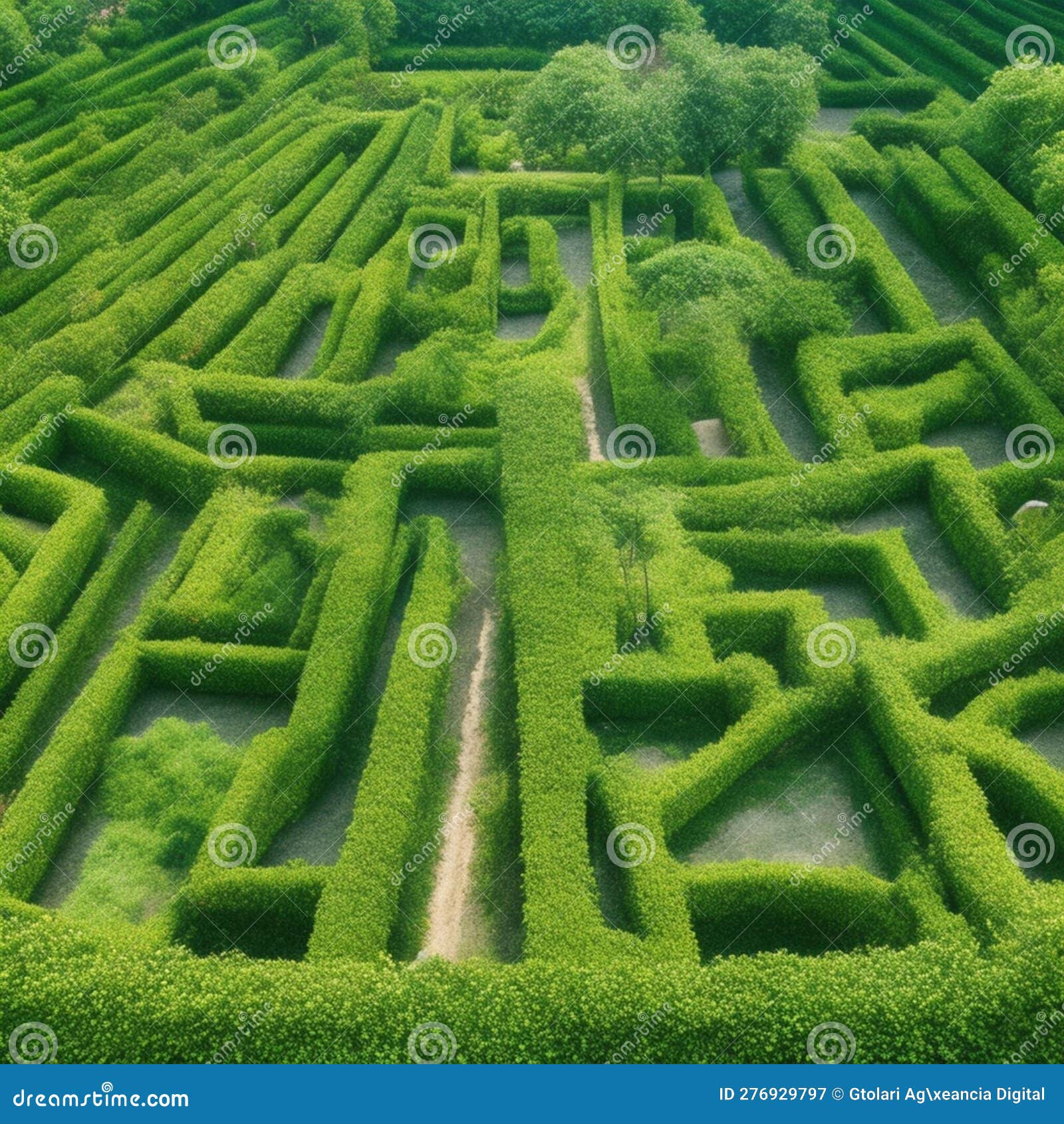 Green Labyrinth. Plant Maze. Garden. Aerial View of Green Labyrinth ...