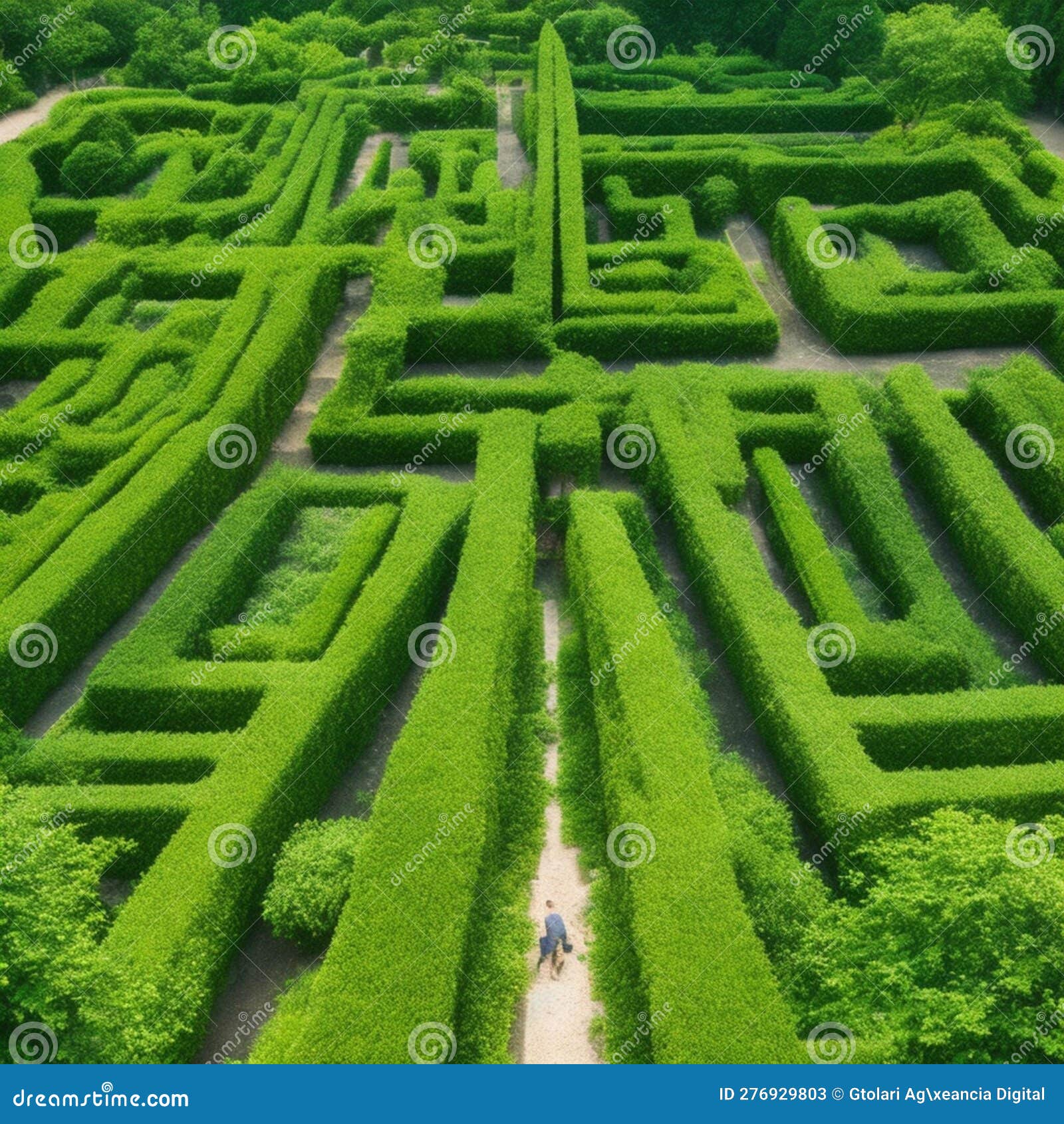 Green Labyrinth. Plant Maze. Garden. Aerial View of Green Labyrinth ...