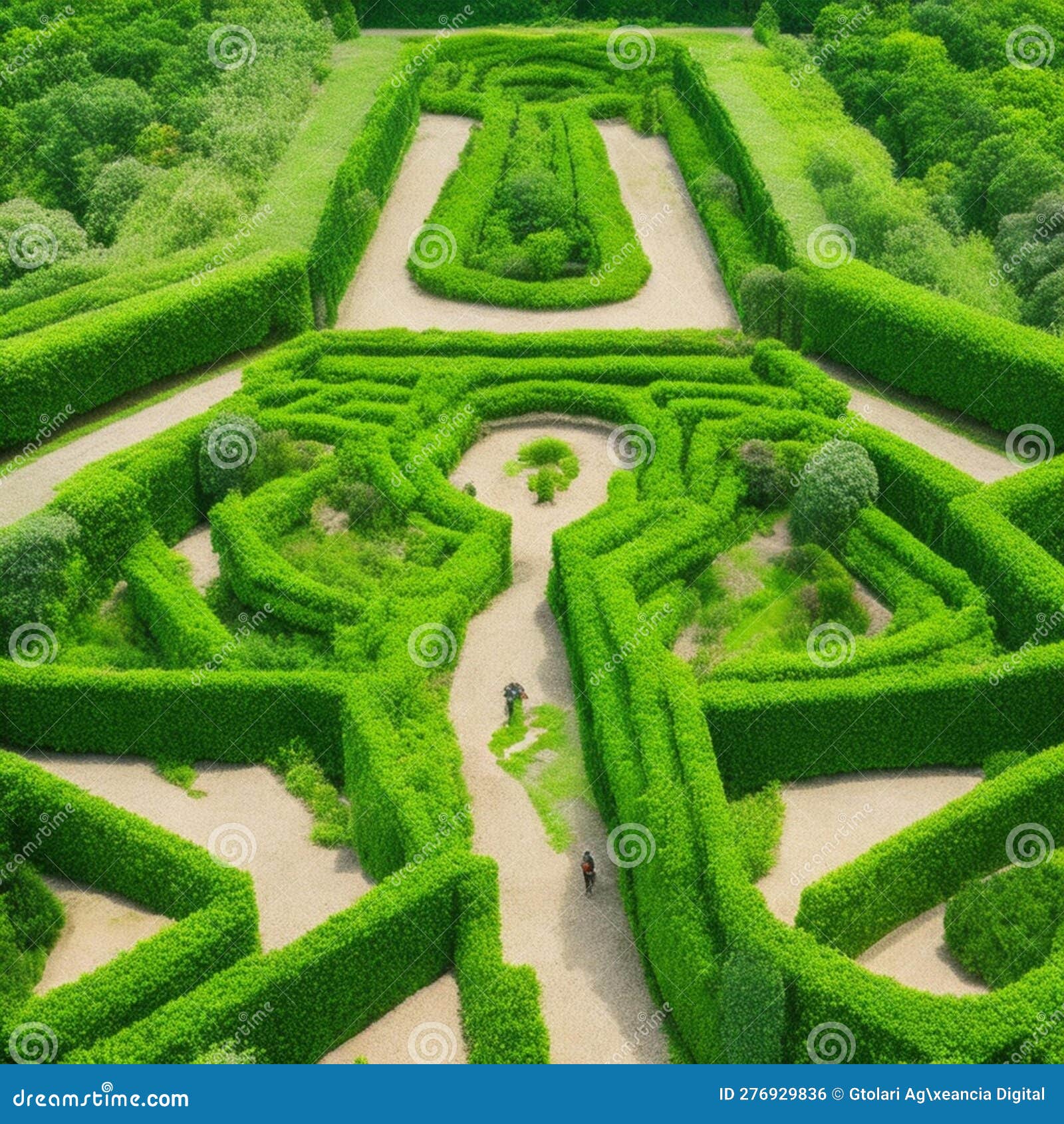 Green Labyrinth. Plant Maze. Garden. Aerial View of Green Labyrinth ...