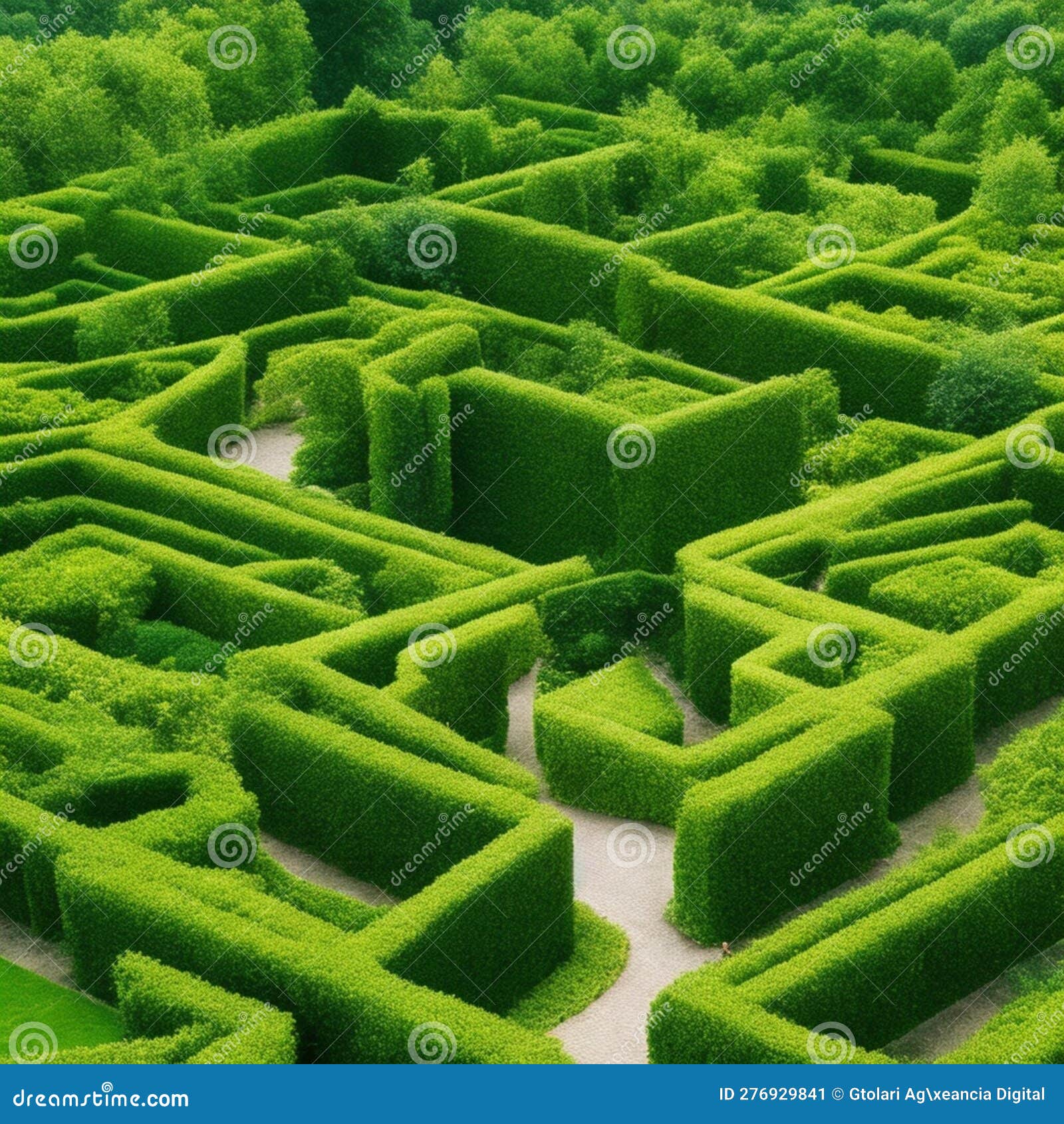 Green Labyrinth. Plant Maze. Garden. Aerial View of Green Labyrinth ...