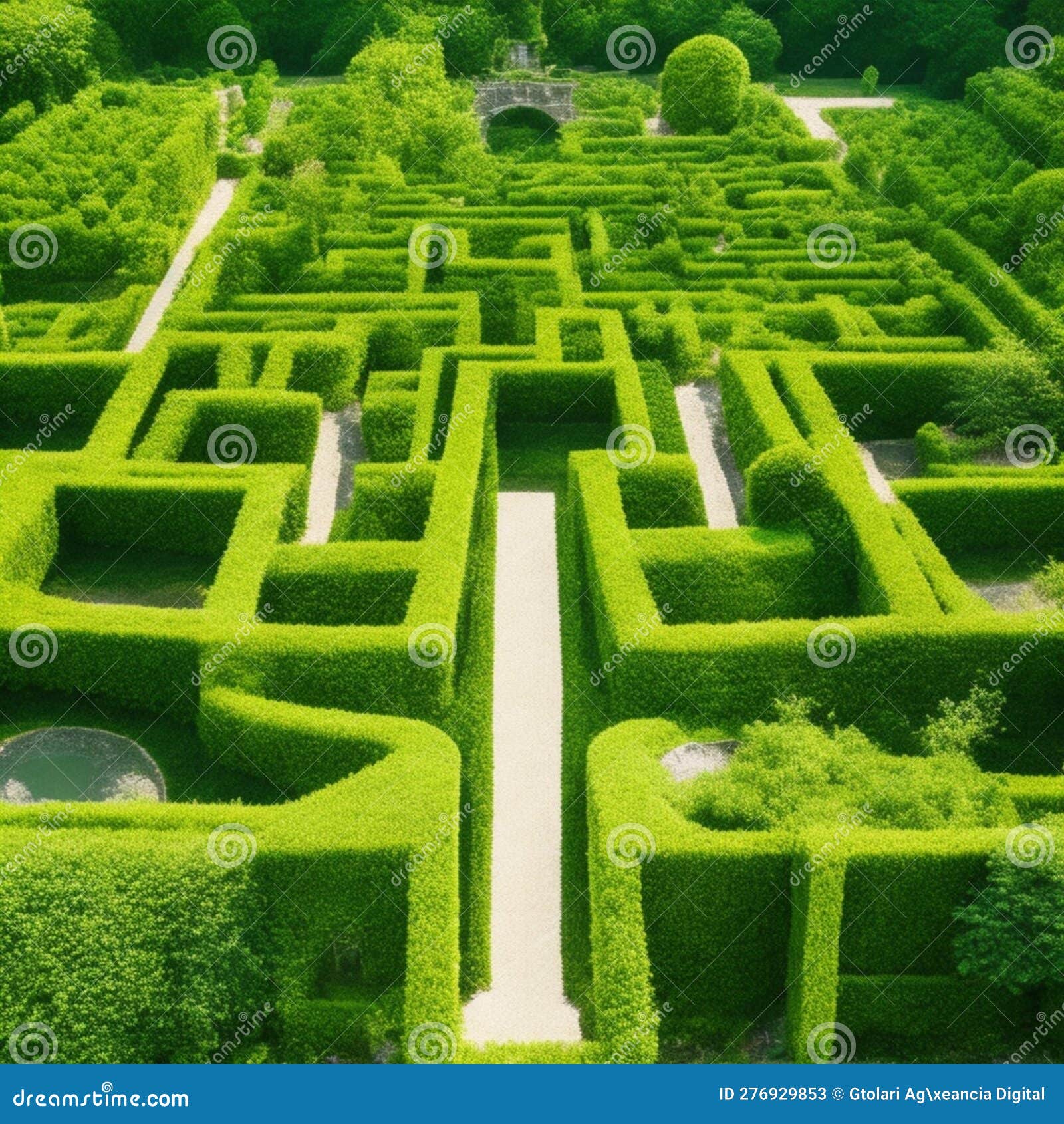 Green Labyrinth. Plant Maze. Garden. Aerial View of Green Labyrinth ...