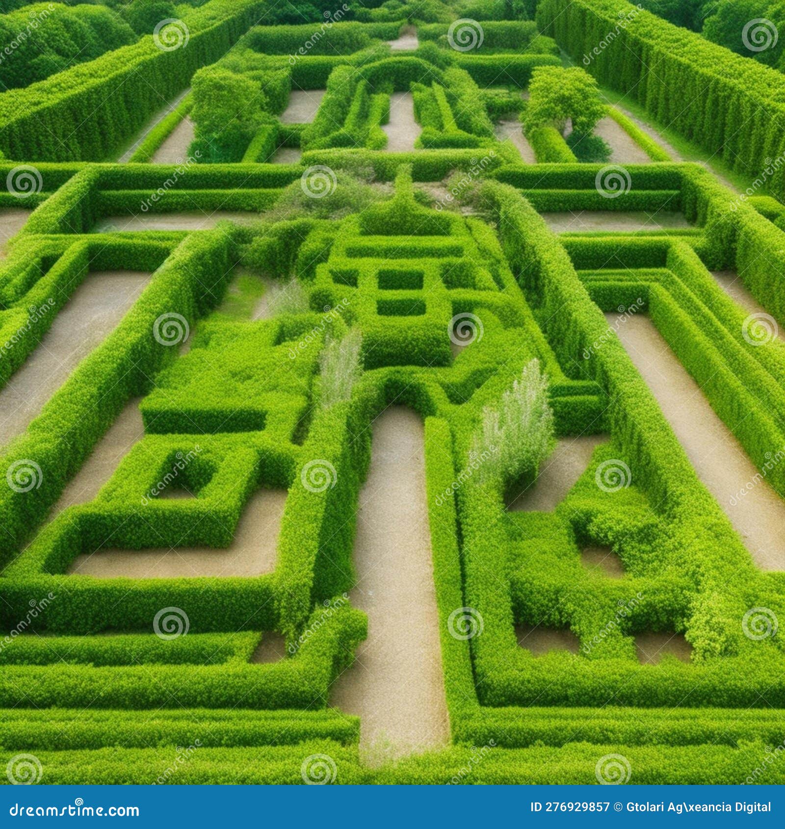 Green Labyrinth. Plant Maze. Garden. Aerial View of Green Labyrinth ...