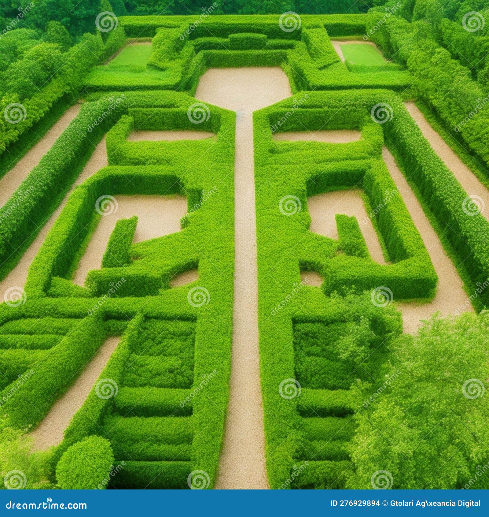 Green Labyrinth. Plant Maze. Garden. Aerial View of Green Labyrinth ...