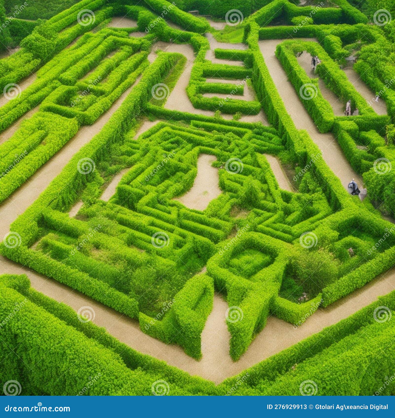 Green Labyrinth. Plant Maze. Garden. Aerial View of Green Labyrinth ...
