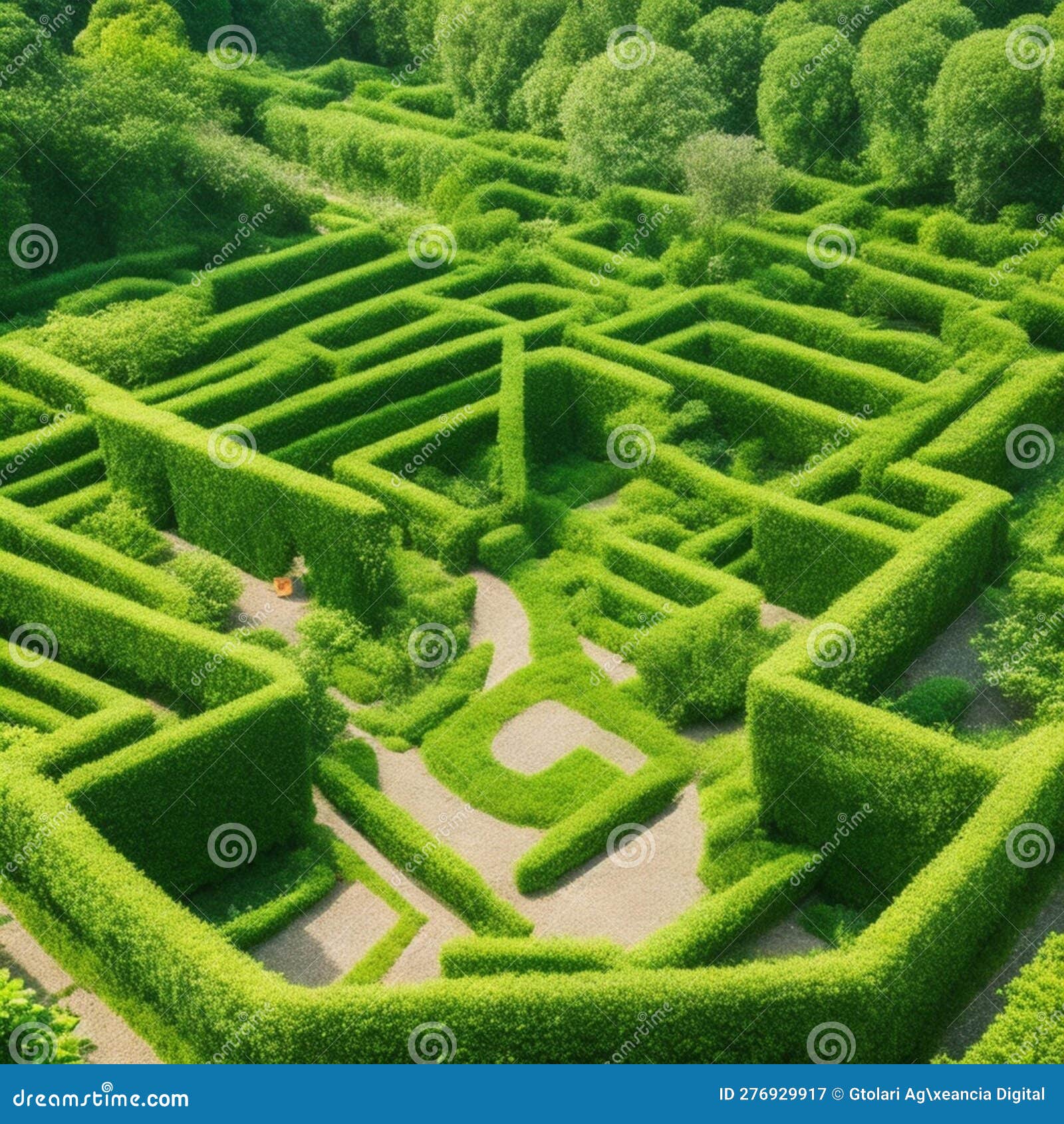 Green Labyrinth. Plant Maze. Garden. Aerial View of Green Labyrinth ...