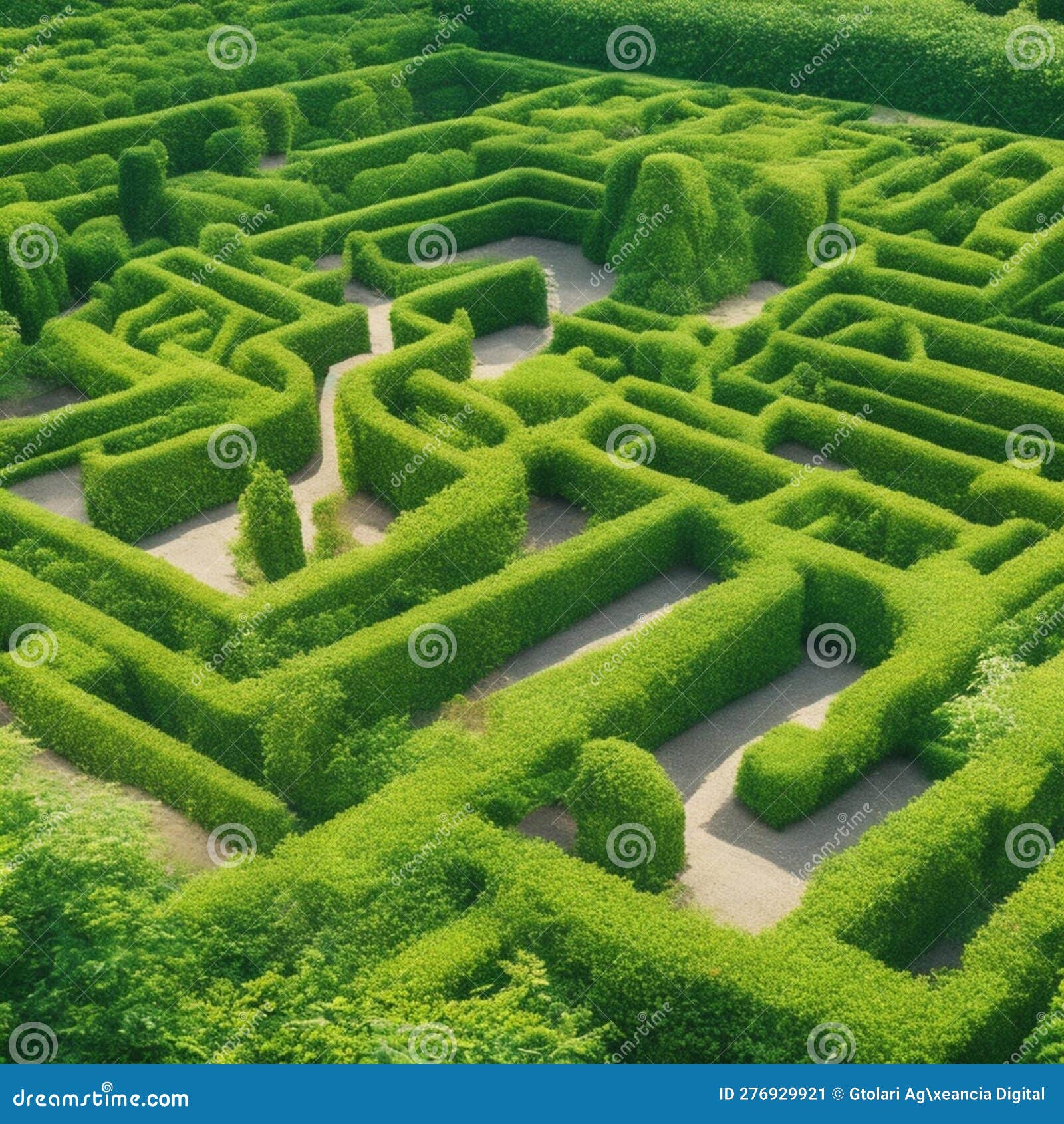 Green Labyrinth. Plant Maze. Garden. Aerial View of Green Labyrinth ...