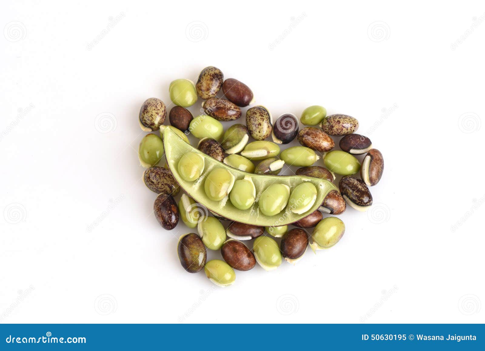 Lablab Bean or Dolichos Bean (Dolichos Lablab Linn.) Stock Image ...