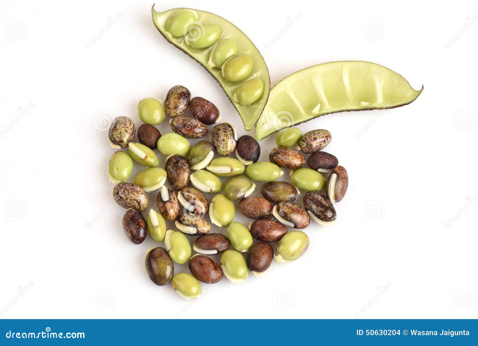 Lablab Bean or Dolichos Bean (Dolichos Lablab Linn.) Stock Photo ...