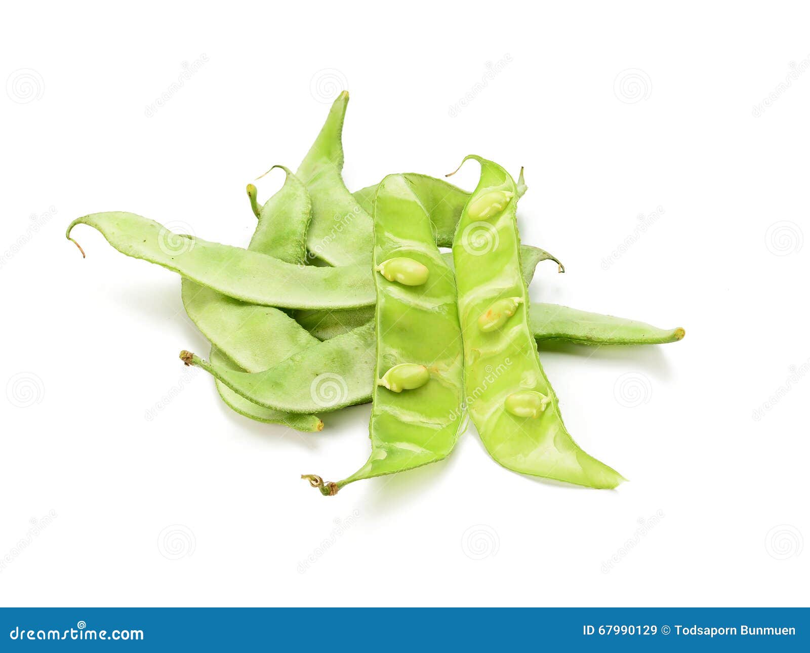 Lablab Bean or Dolichos Bean on White Background Stock Image - Image of ...