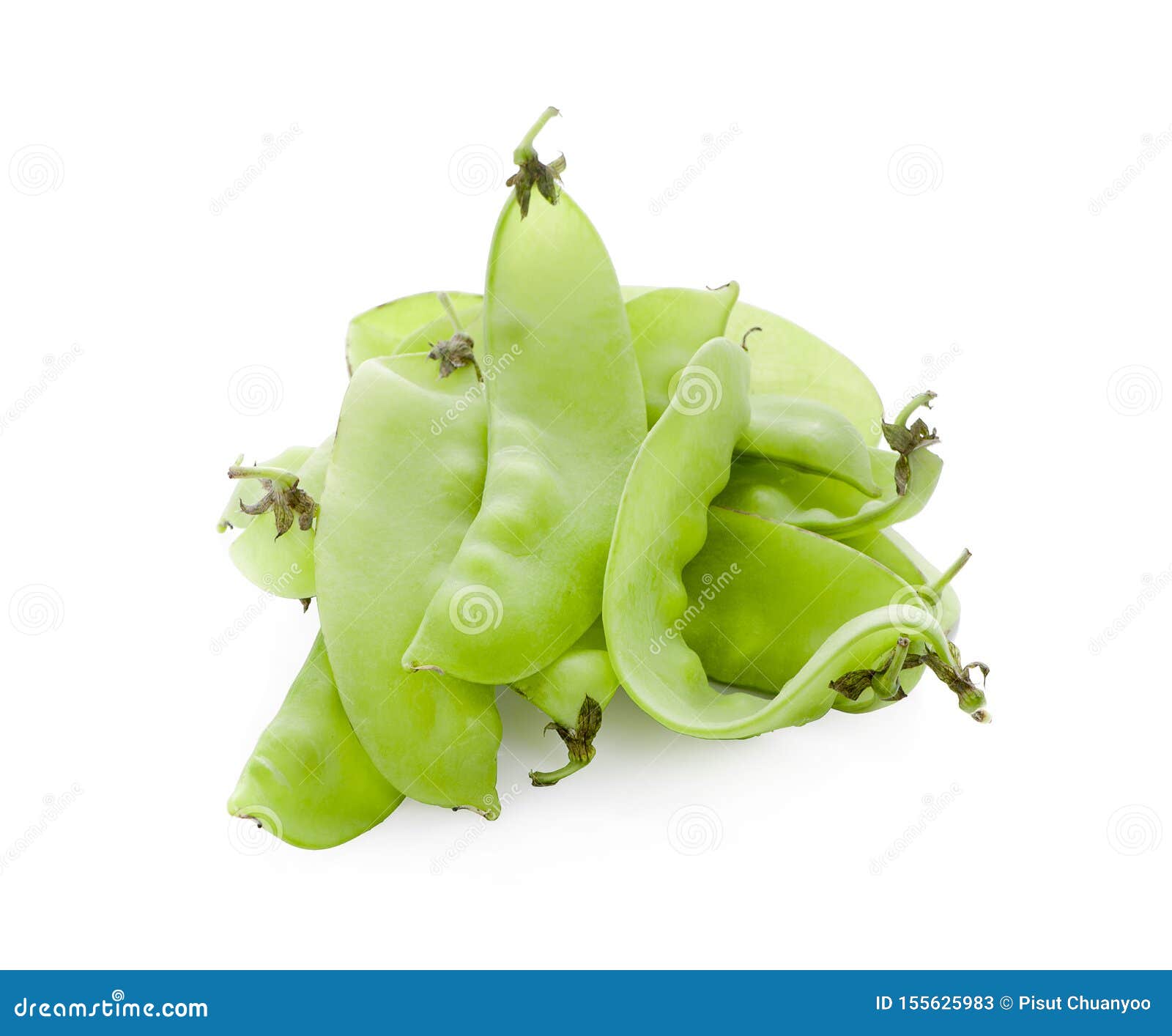 Lablab Bean Royalty-Free Stock Image | CartoonDealer.com #81965224