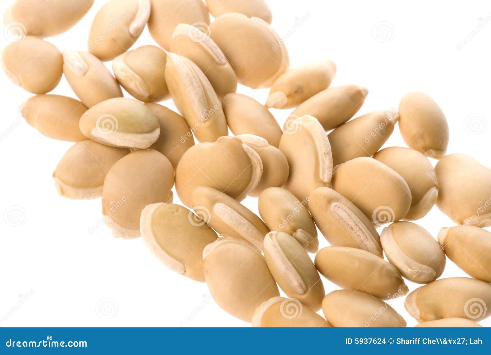 Lablab Beans stock photo. Image of dried, natural, ingredient - 5937624
