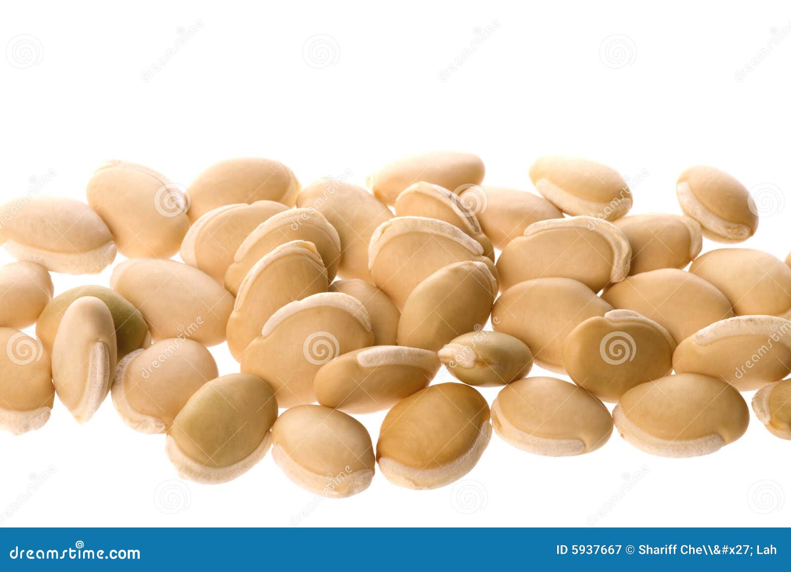 Lablab Beans stock image. Image of close, nature, beans - 5937667