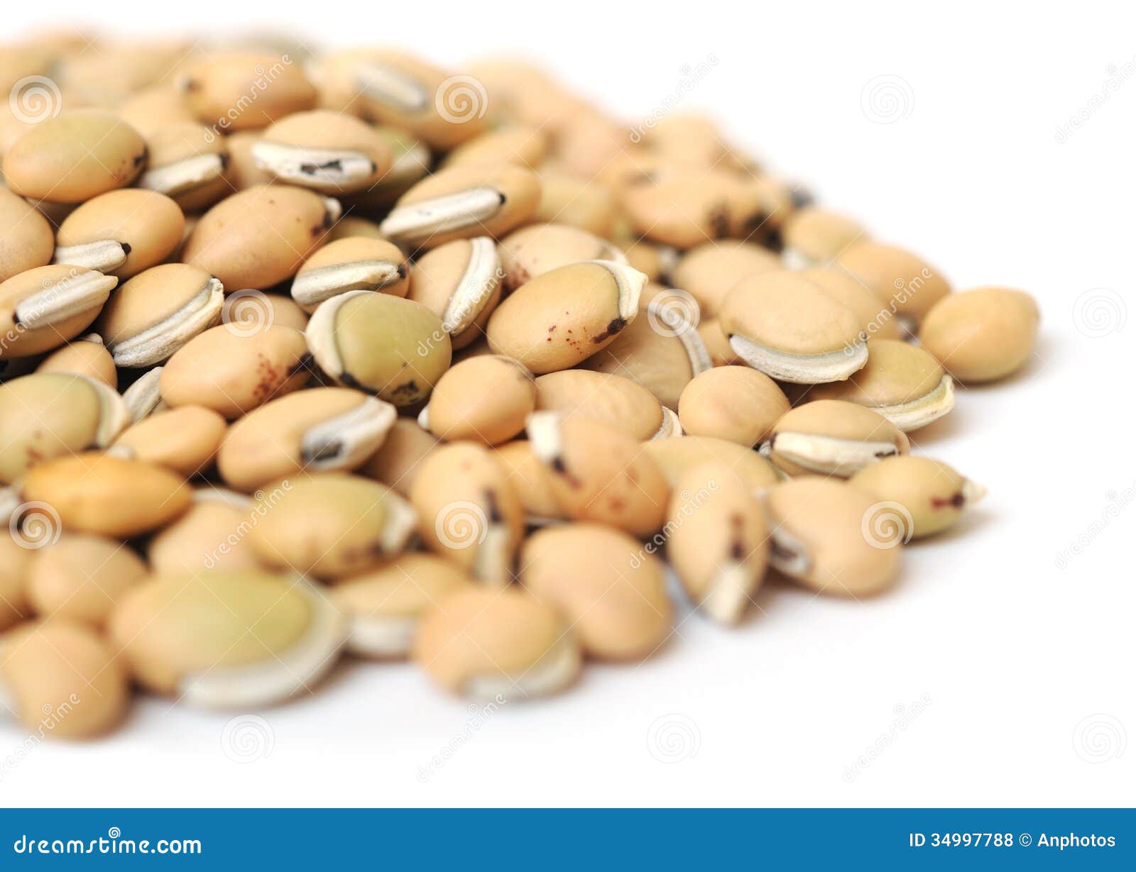 Lablab Purpureus Sem Beans Flowers Snap Stock Image | CartoonDealer.com ...