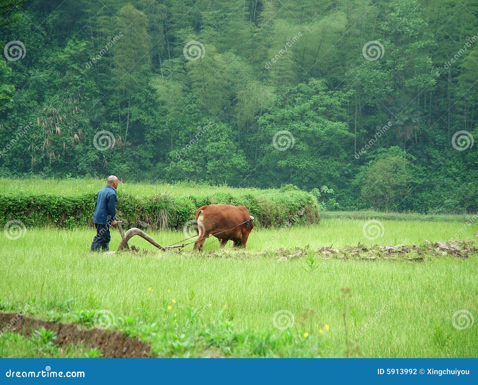 Labor arable land stock photo. Image of arable, farmers - 5913992