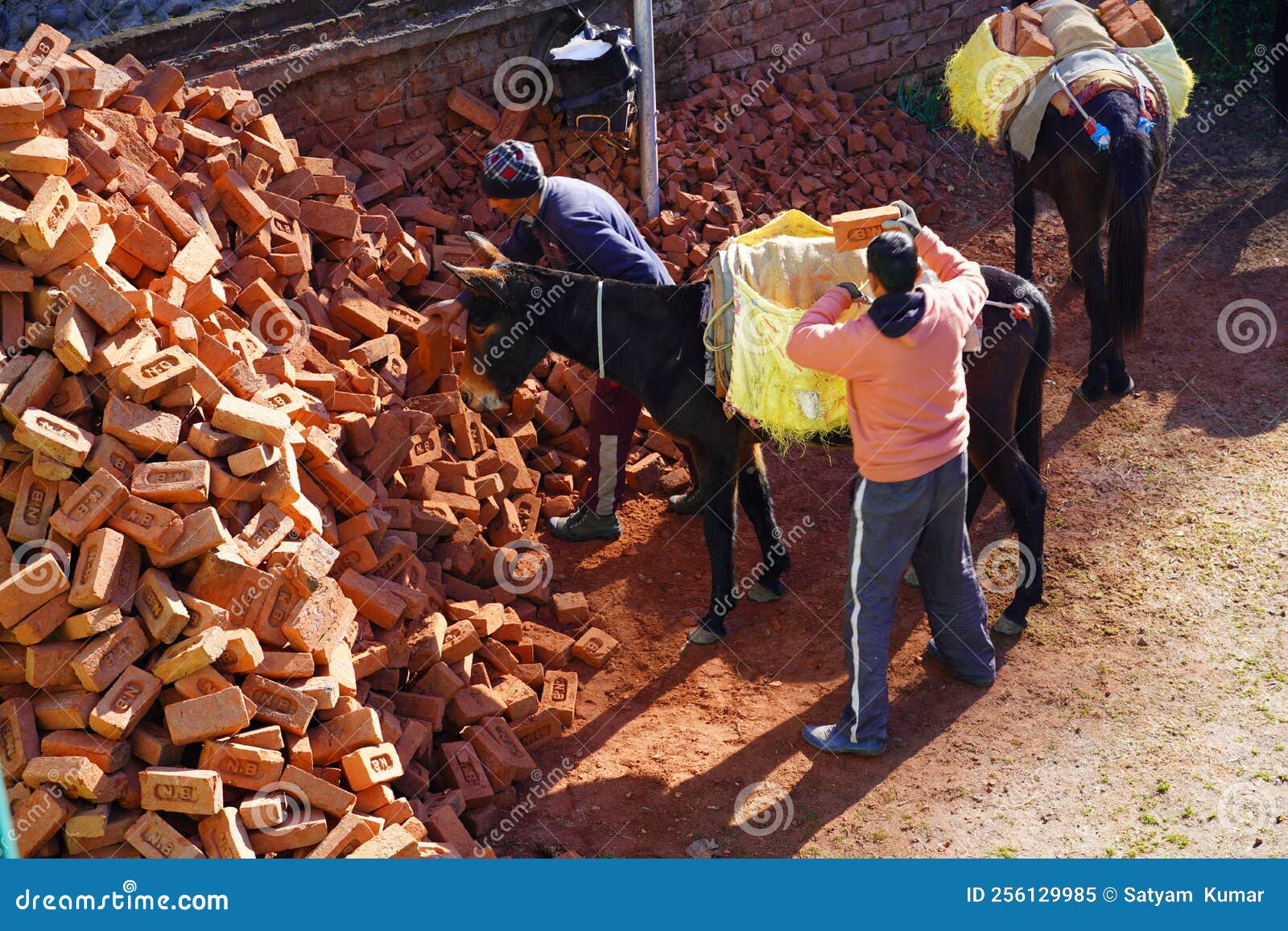 Labor and Donkey Image Labors are Loading Bricks on Donkey and Doing ...