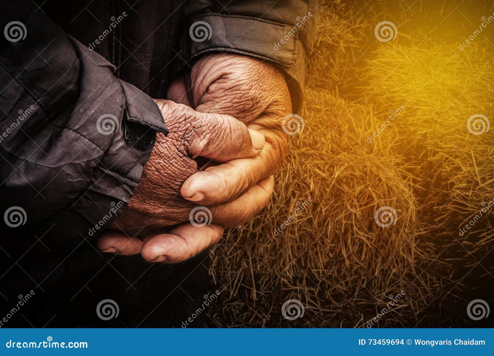 Labor hand and straw stock photo. Image of labor, farmer - 73459694